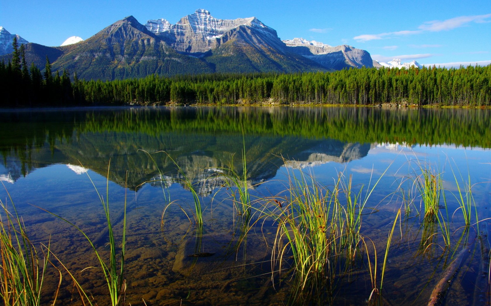 Download Nature Reflection Image