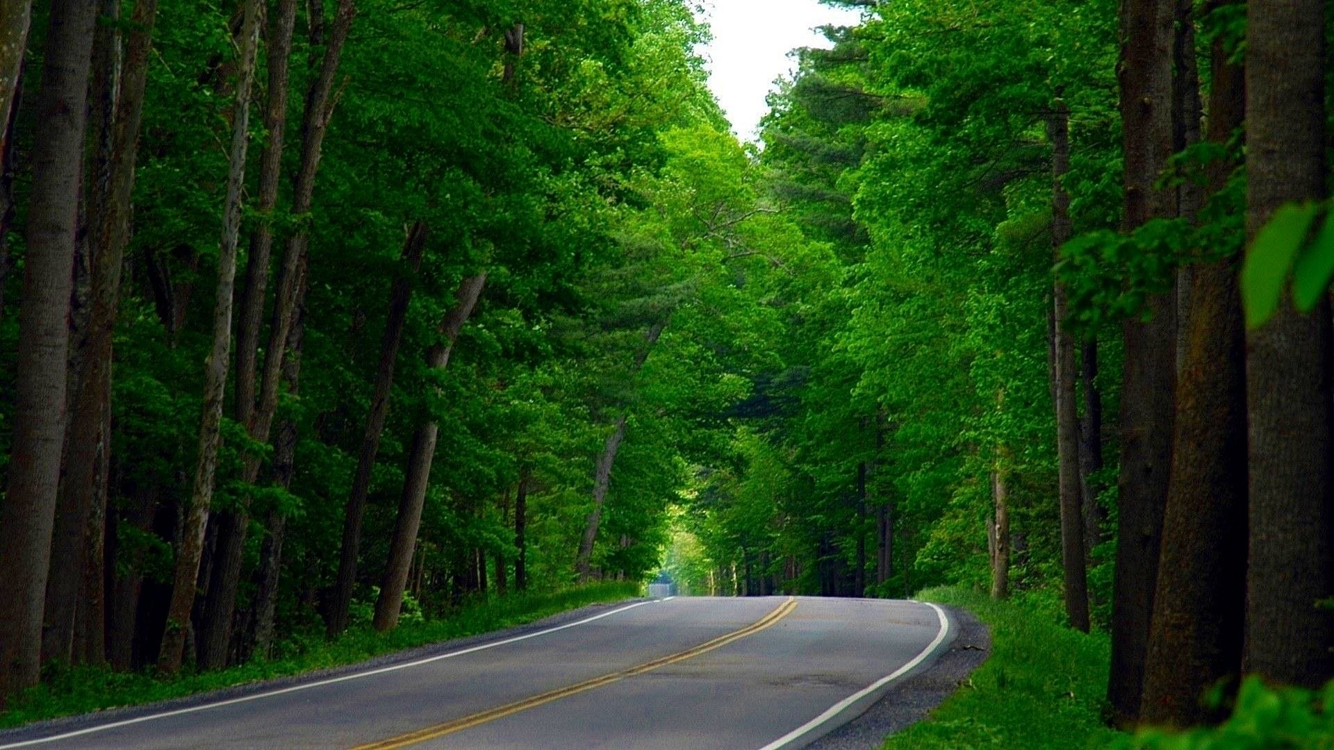 Download Man Made Road Image