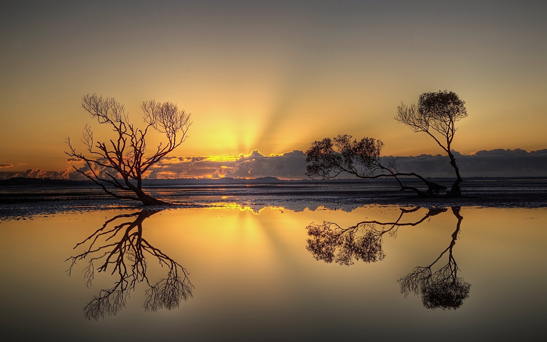 Download Nature Reflection Image