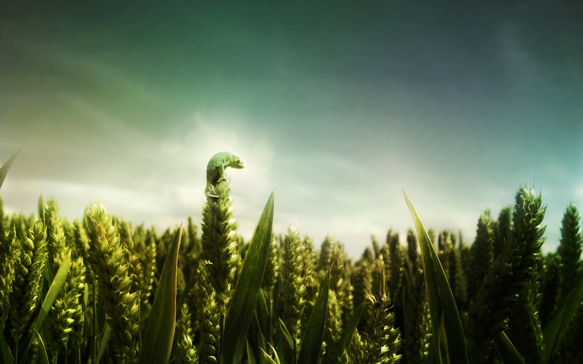 Green creature - Image Abyss