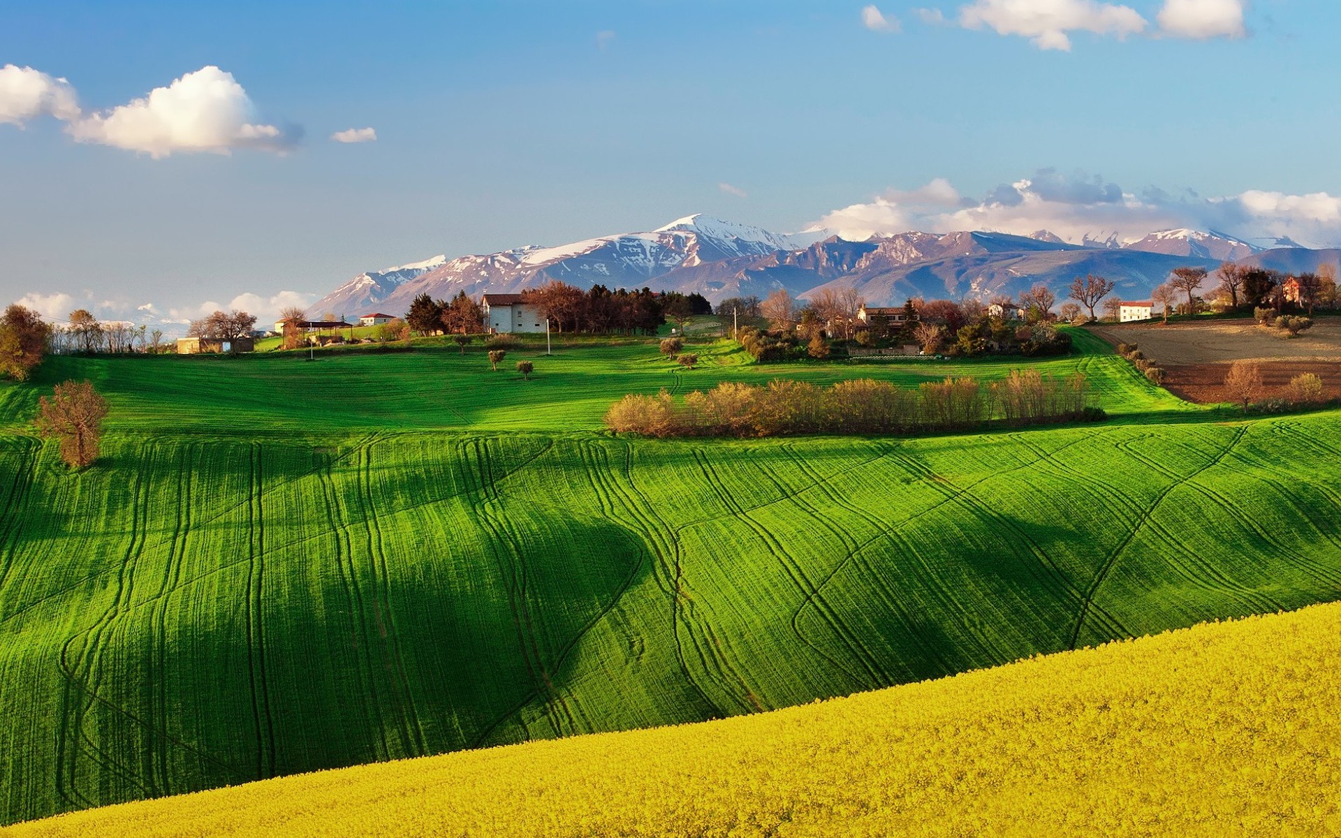 Field Picture - Image Abyss