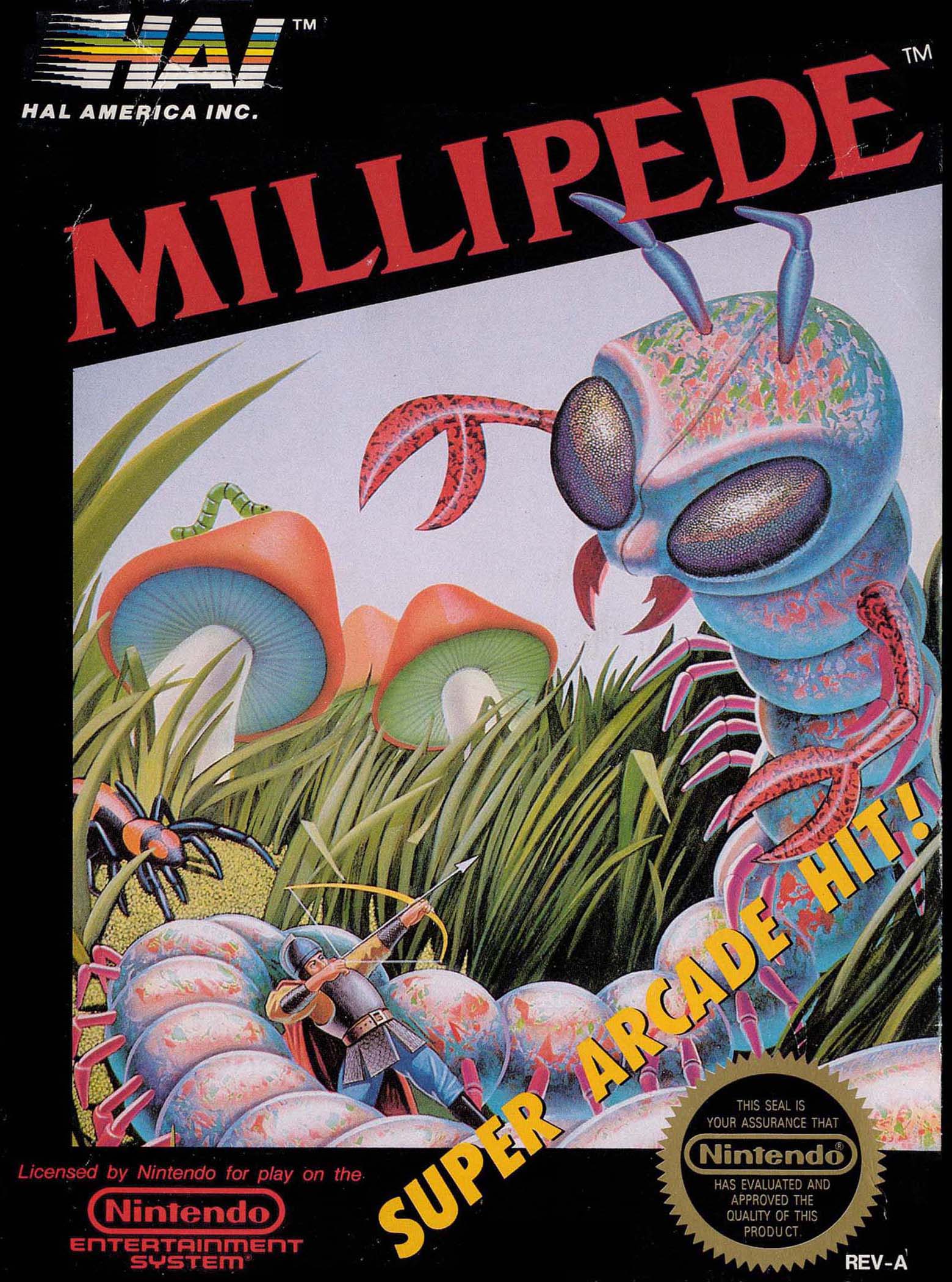 Millipede Picture - Image Abyss