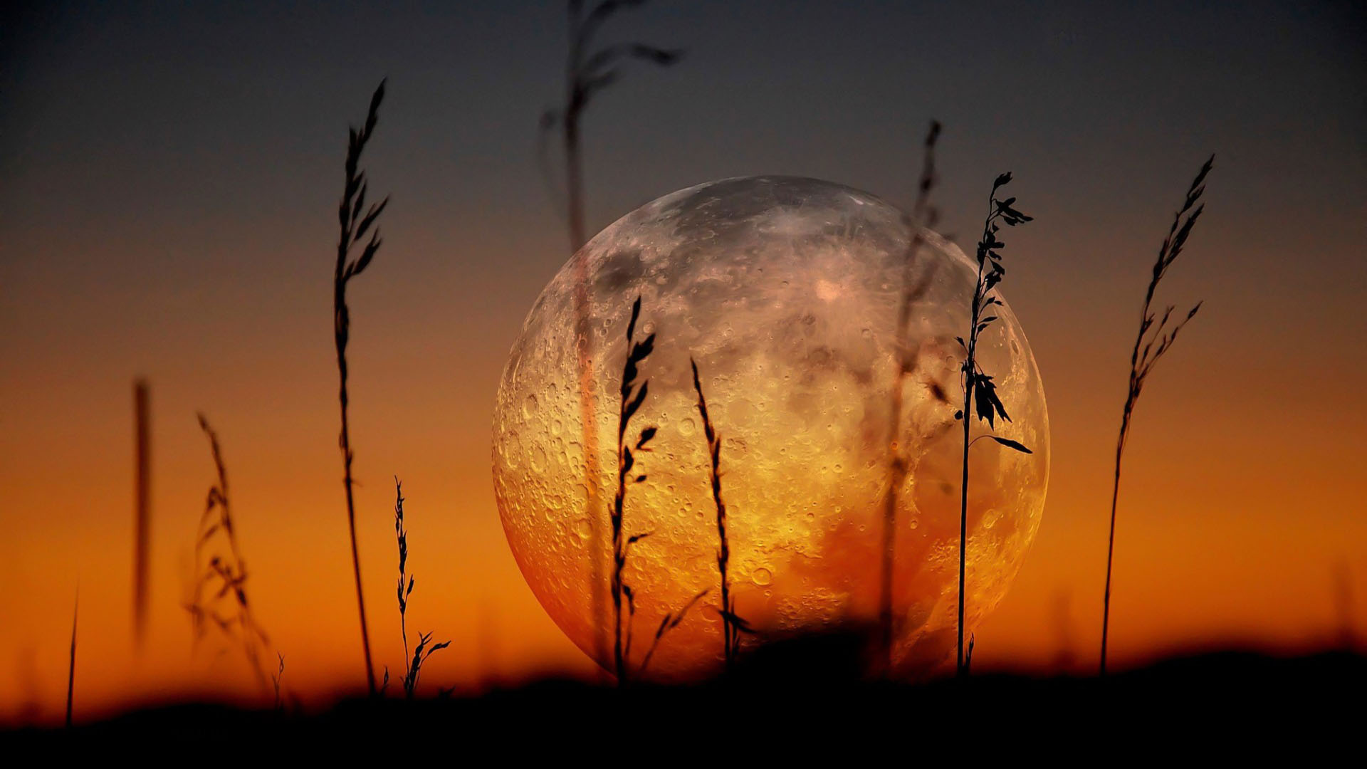 Download Nature Moon Image
