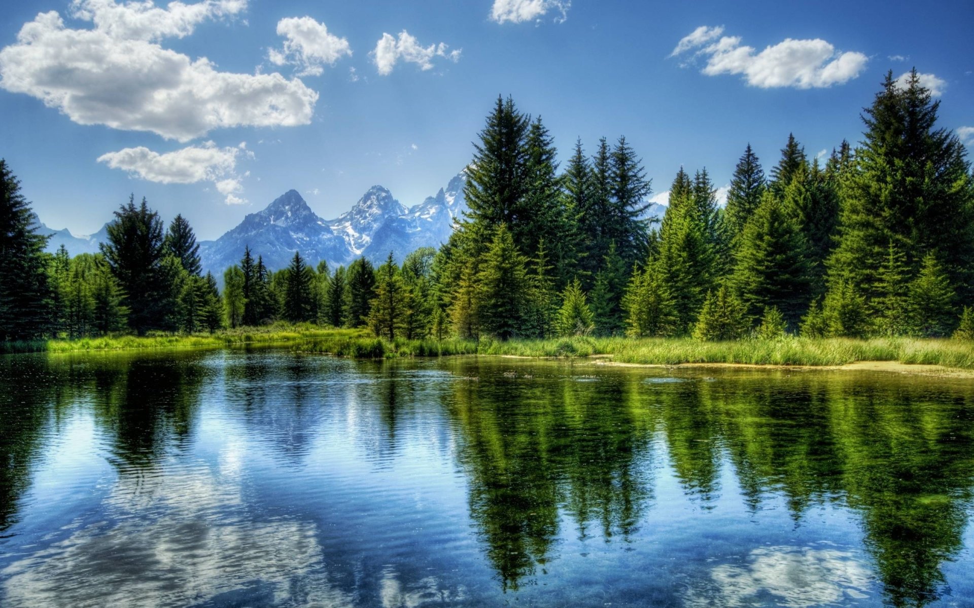 Download Nature Reflection Image