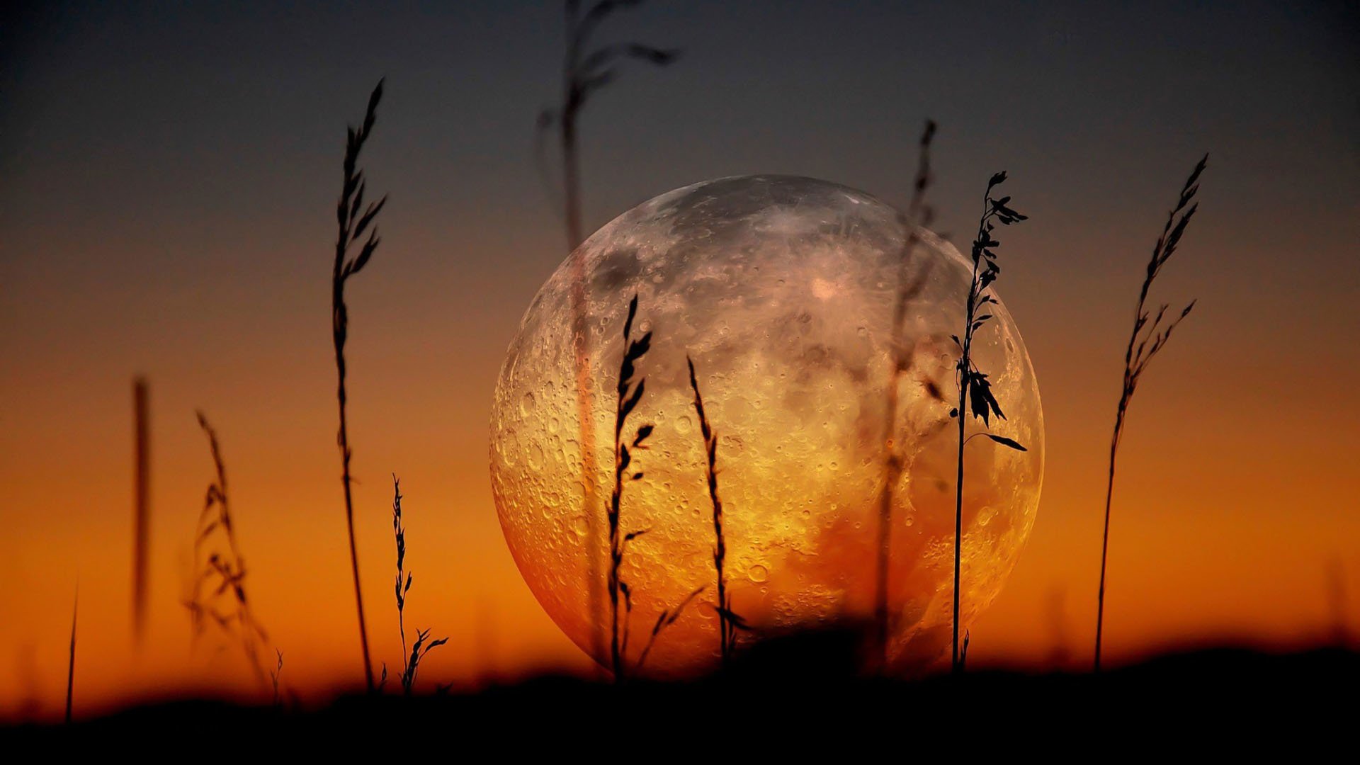 Download Nature Moon Image