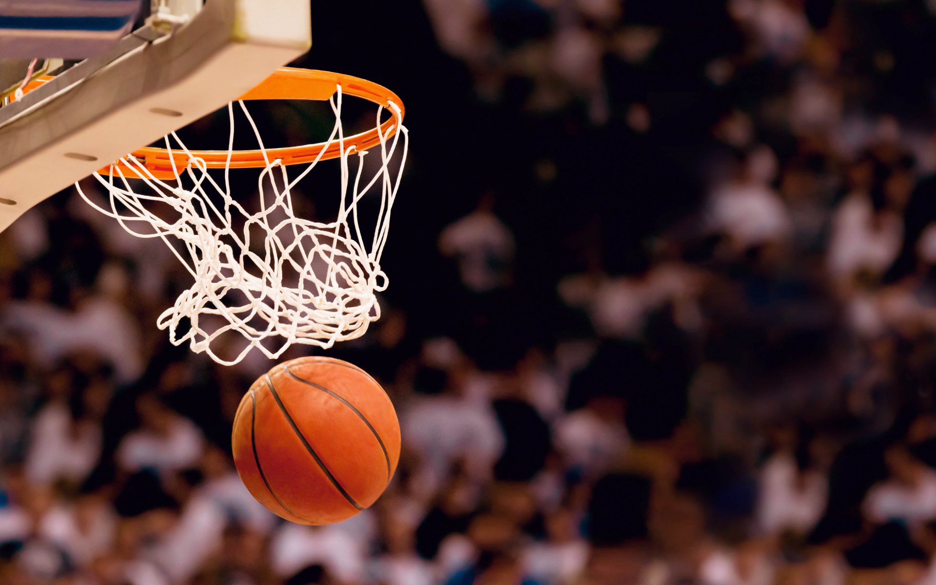 Slam Dunk Moments: The Thrill of Basketball Sports Action