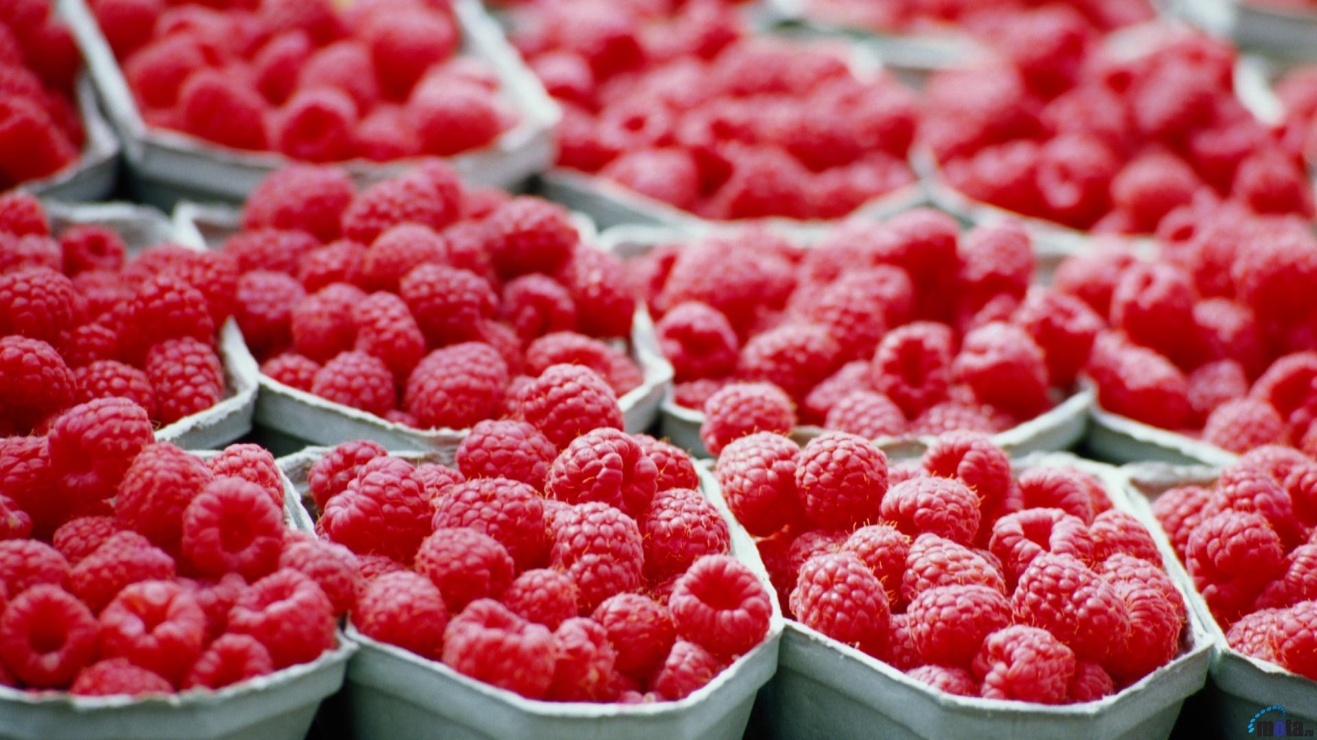 Download Food Raspberry Image