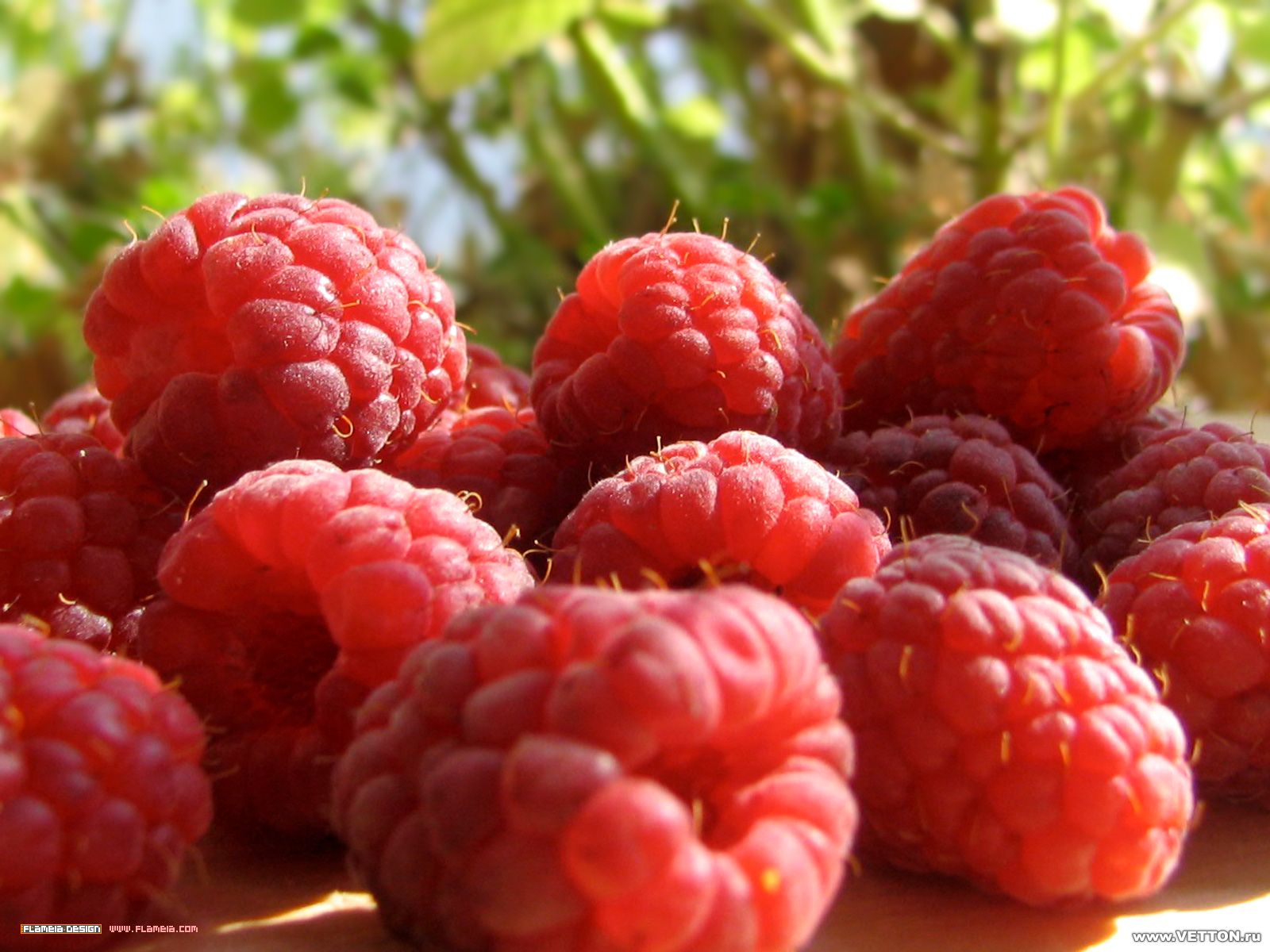 Download Food Raspberry Image