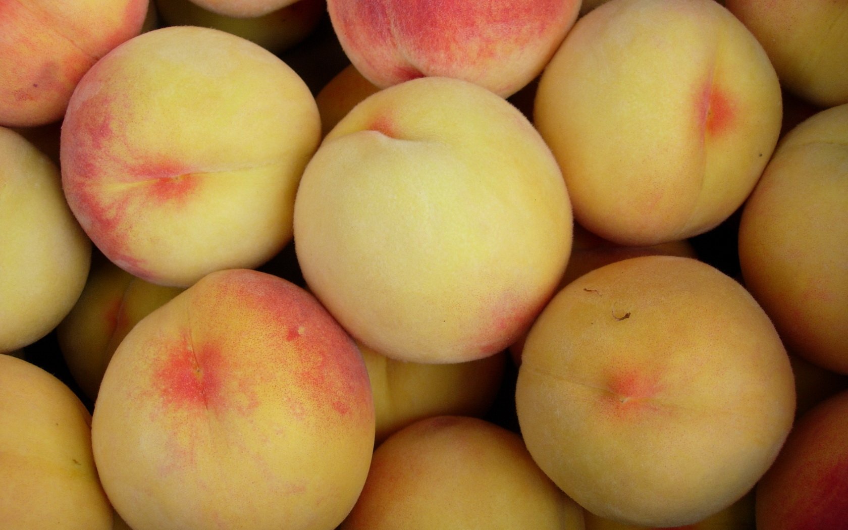 Peach Picture - Image Abyss