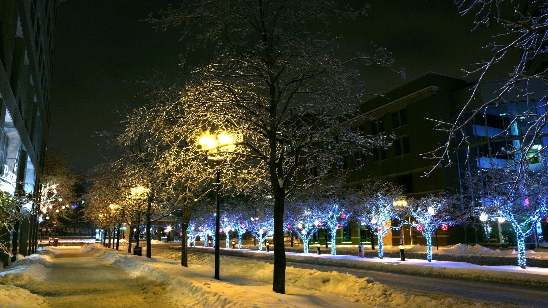 Download Night Light Path Snow Tree Photography Winter Winter Night Image
