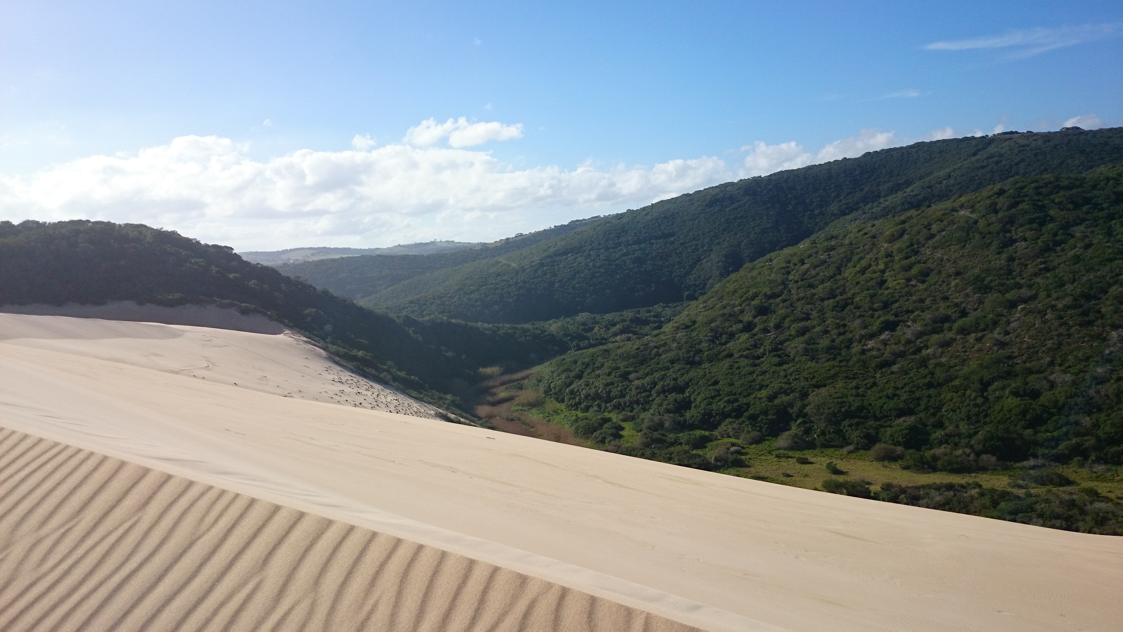 Desert-Land by Cole_C - Image Abyss