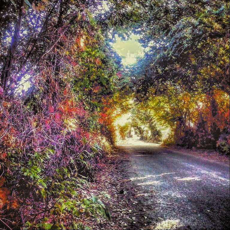 colorful road Image - ID: 287629 - Image Abyss