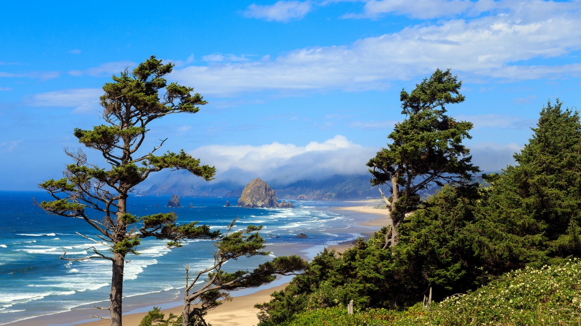 Oregon Coast: Nature's Serene Beach and Ocean View