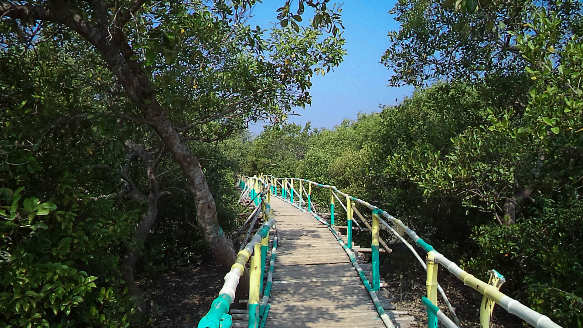 Short Bridge by Hunter34