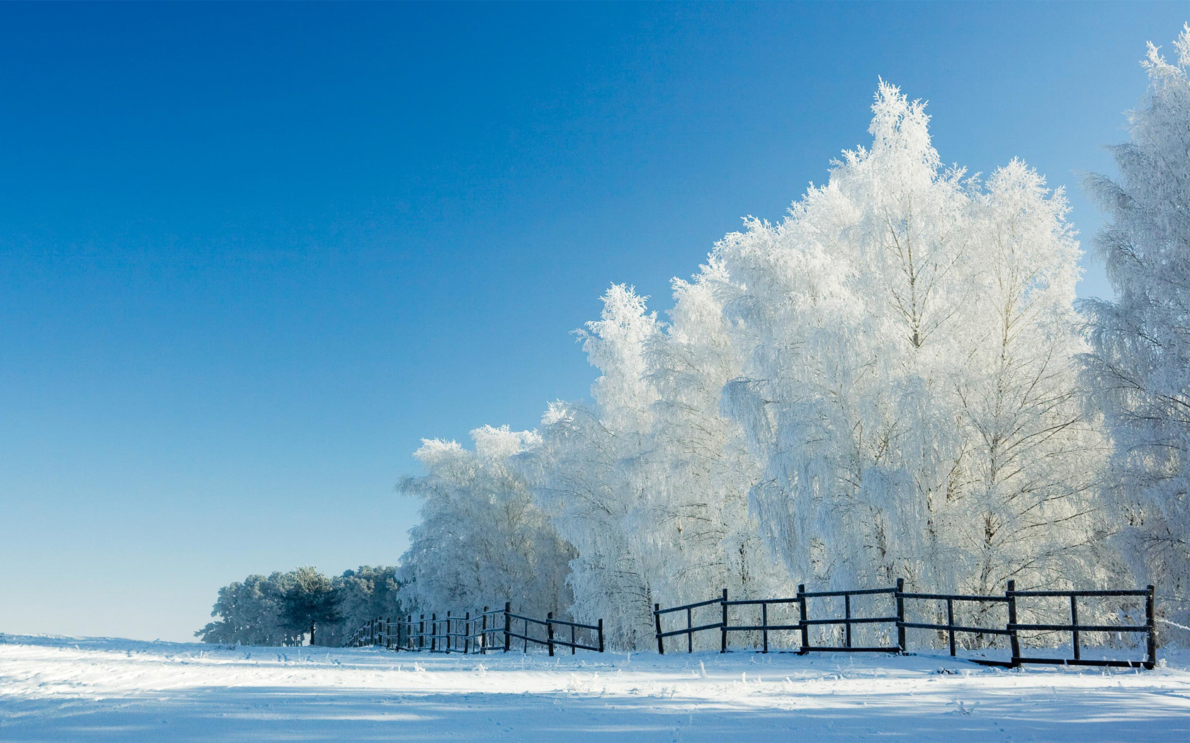 Download Photography Winter Image