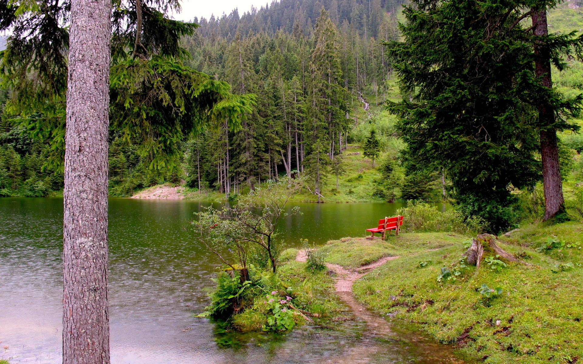 Download Nature River Image