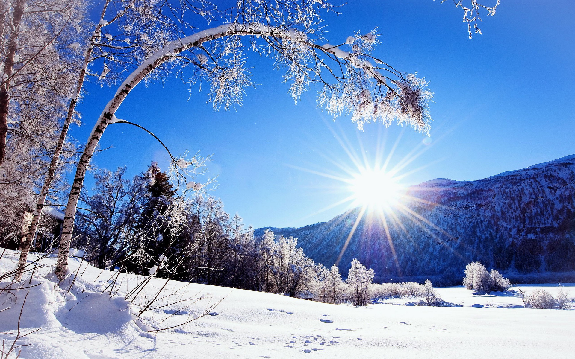 Download Nature Winter Image