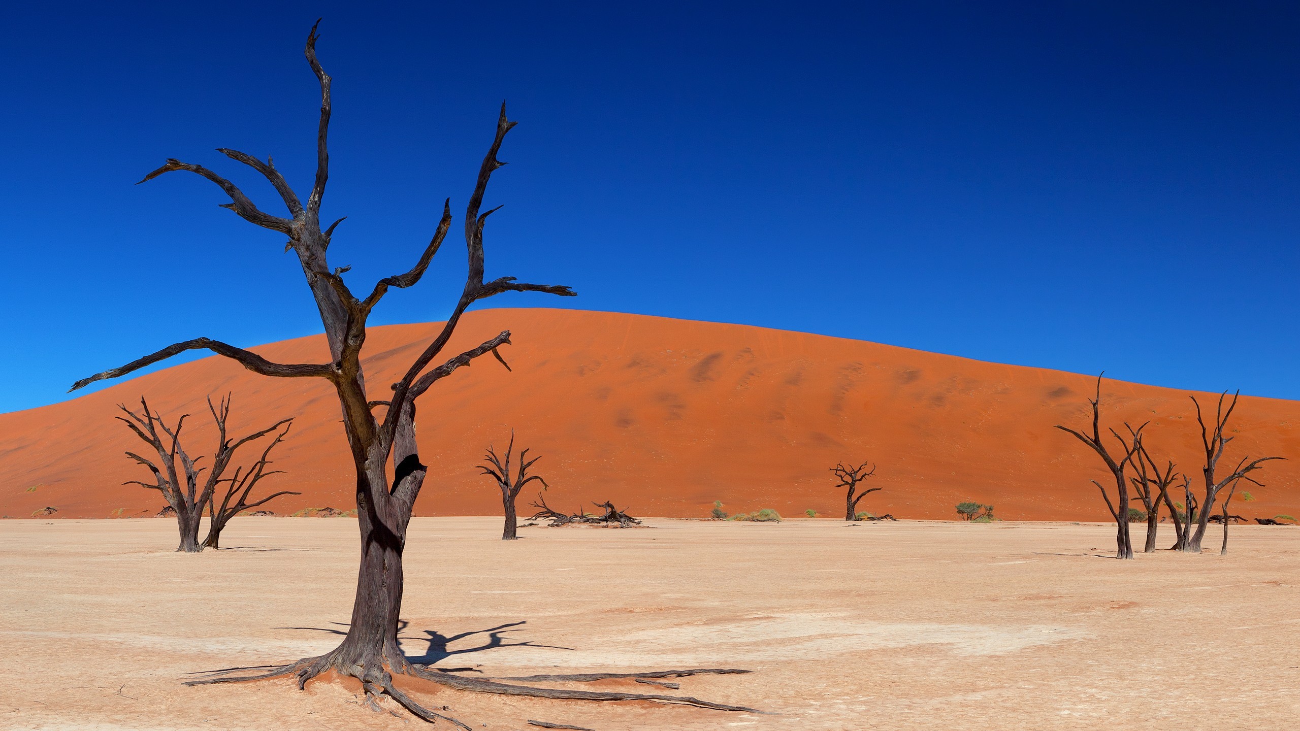 Desert Picture - Image Abyss