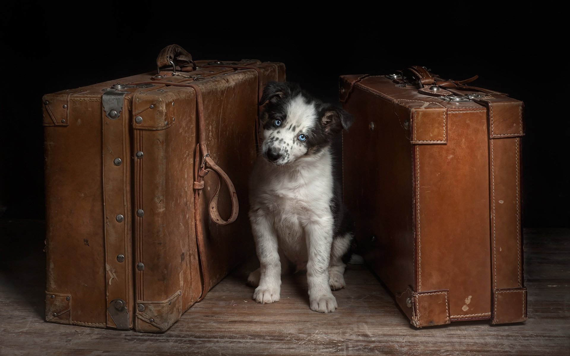 Suitcase - Desktop Wallpapers, Phone Wallpaper, PFP, Gifs, and More!