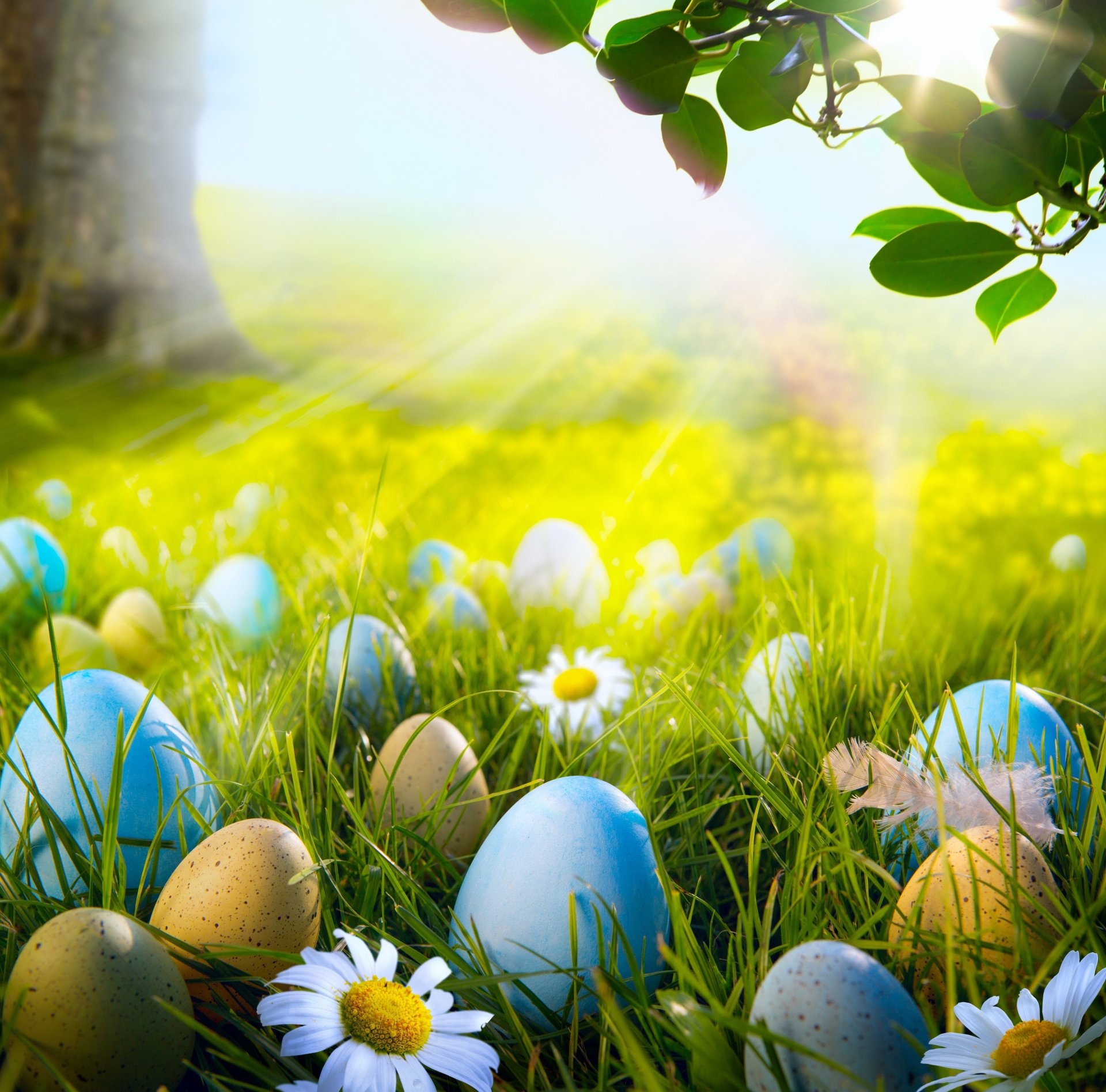 Download Sunrise Flower Easter Egg Holiday Easter Image