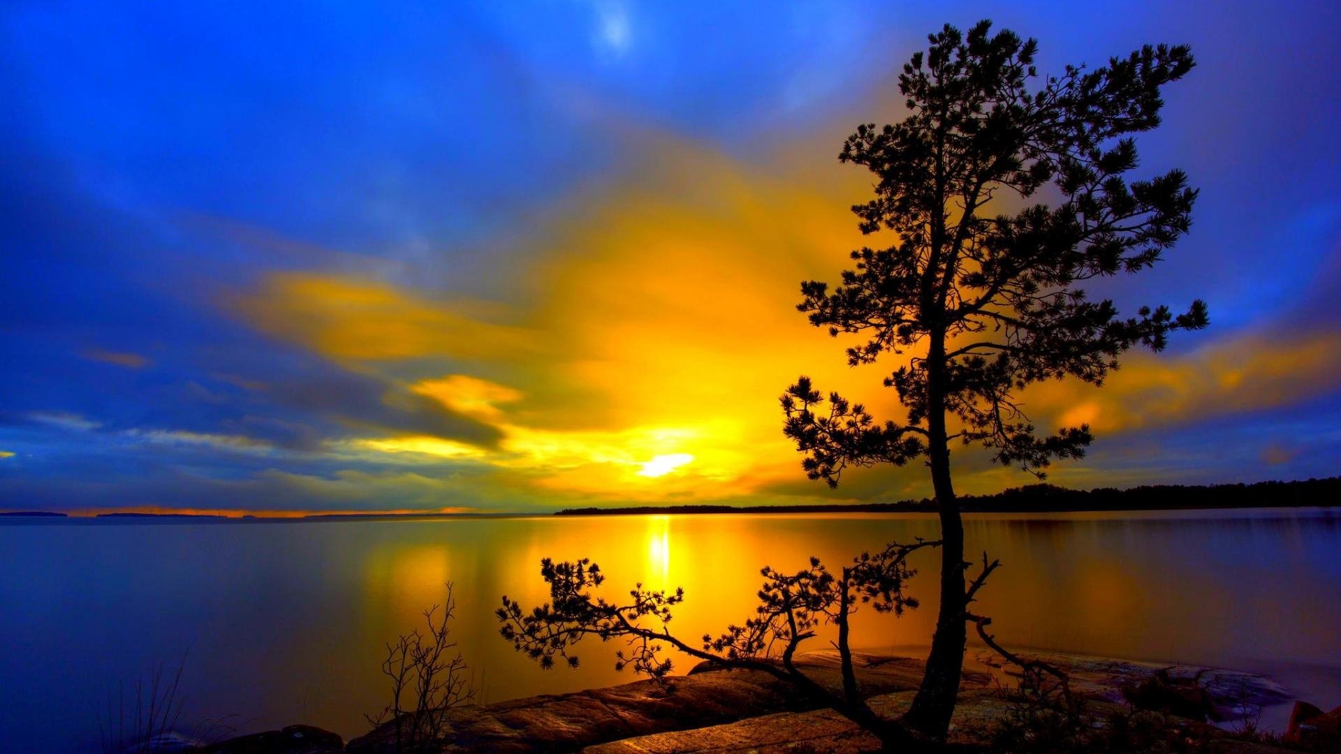 Download Sky Sunset Lake Silhouette Nature Tree Image