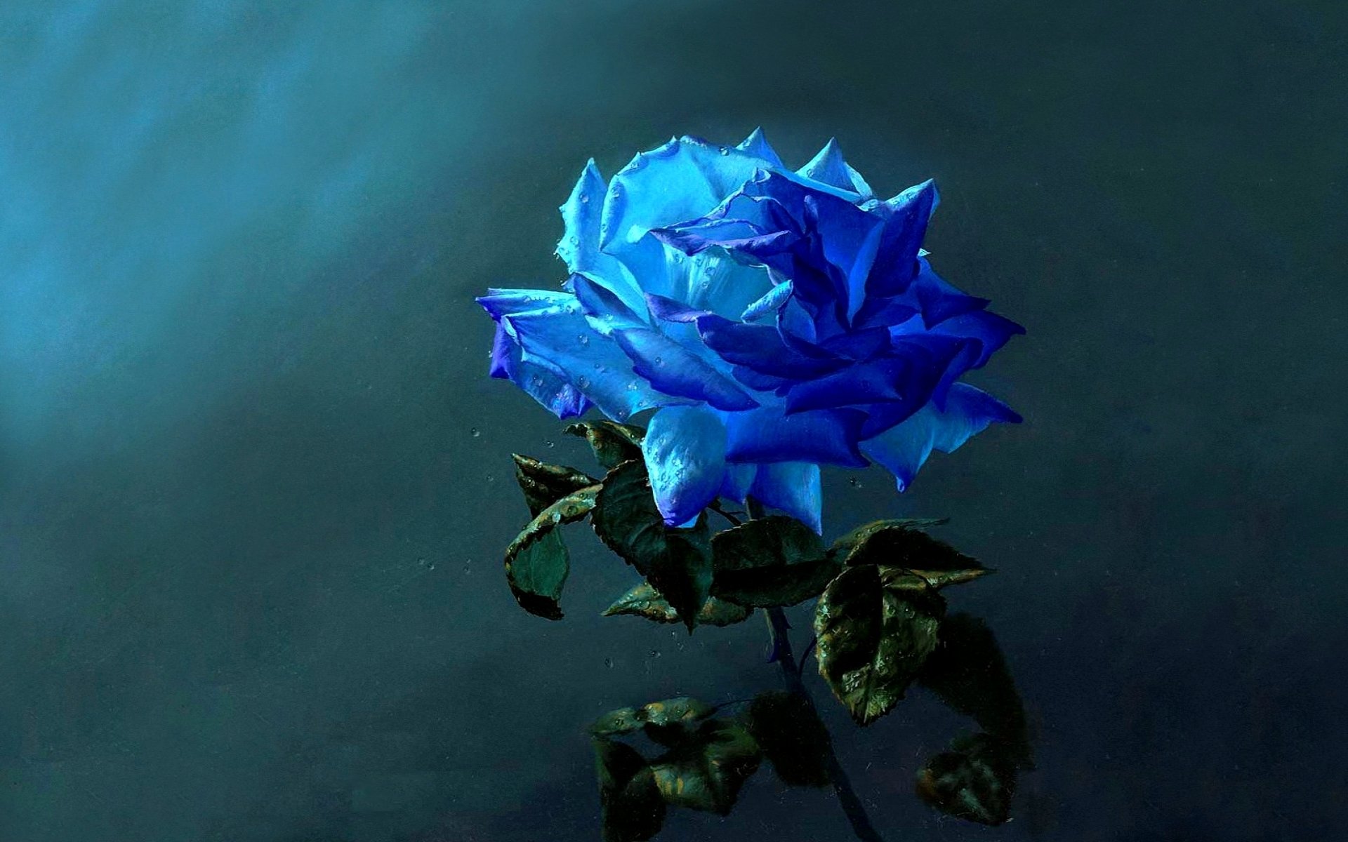 Enigmatic Blue Rose: A Mystical Bloom of Nature’s Wonders