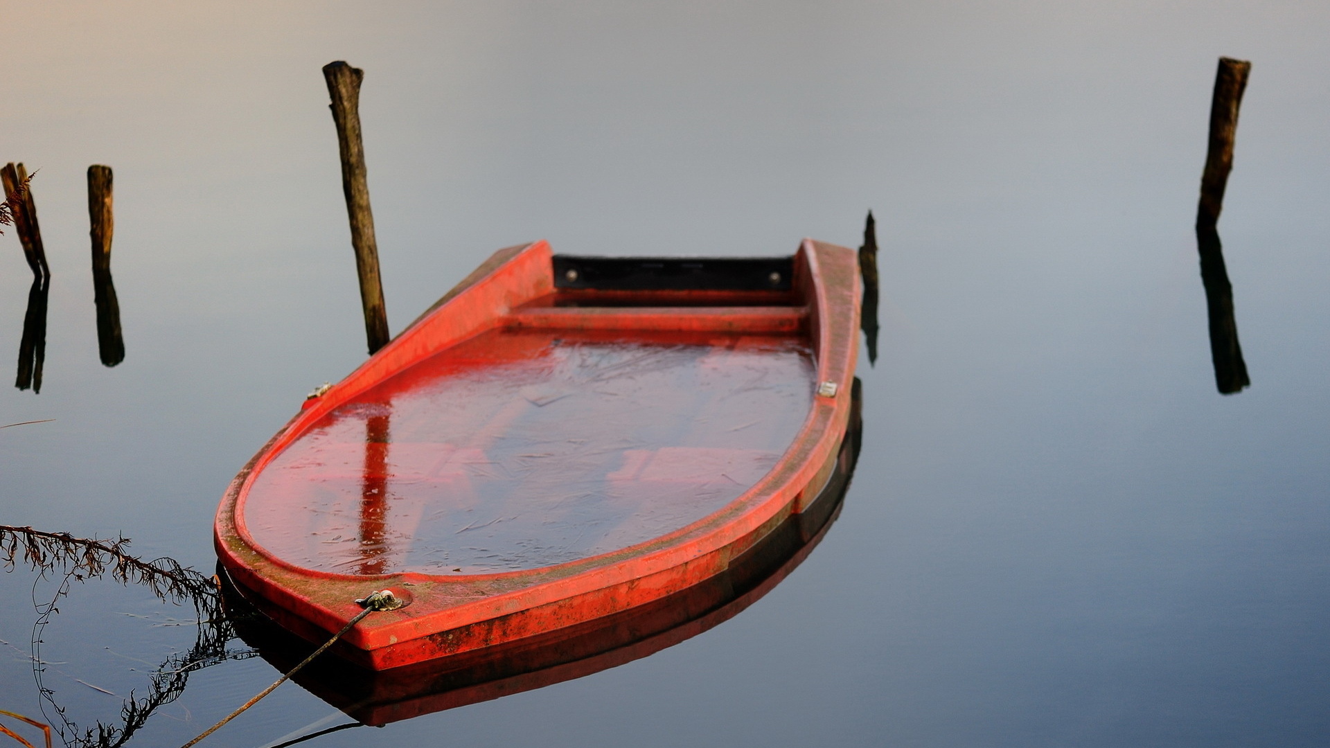 Serene Reflections: The Floating Red Boat