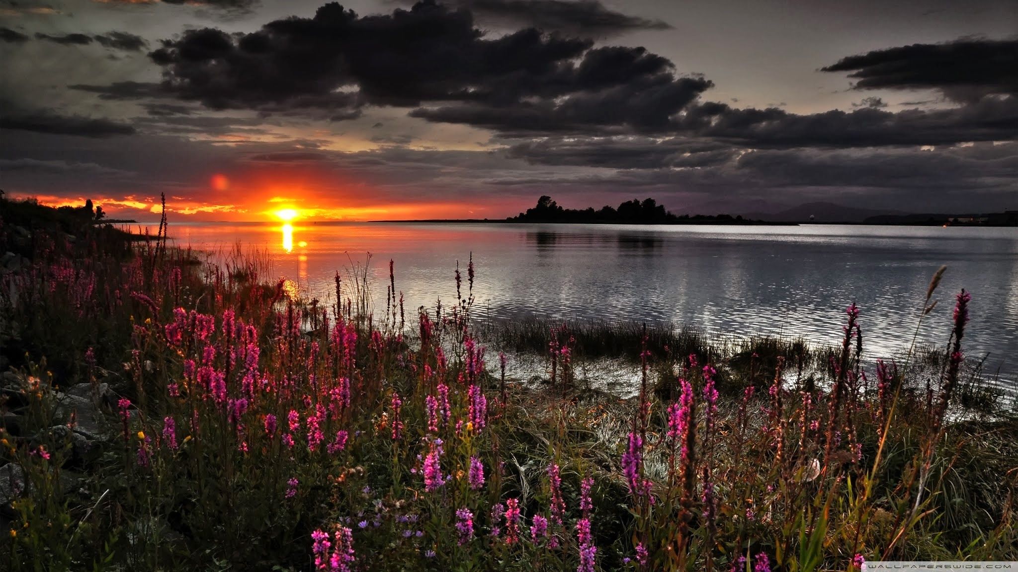 Download Nature Sunset Image