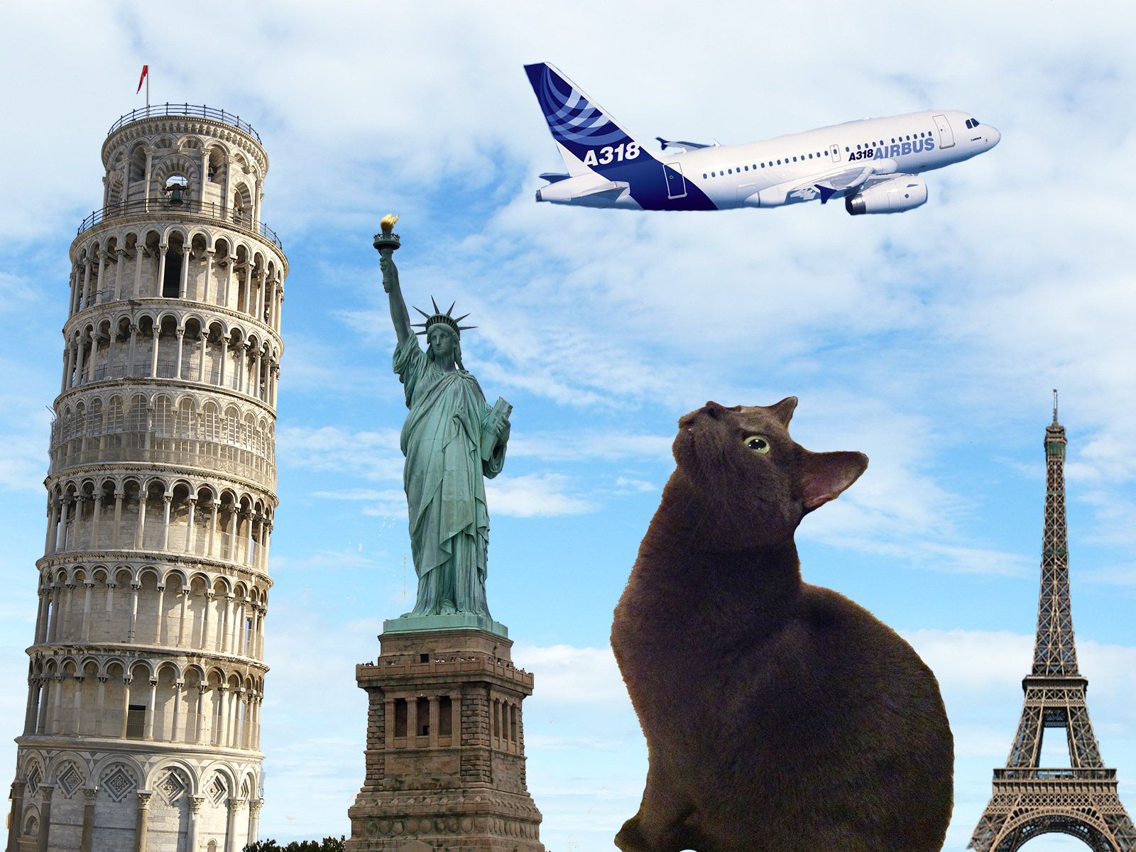cat on vacation around the world - Image Abyss