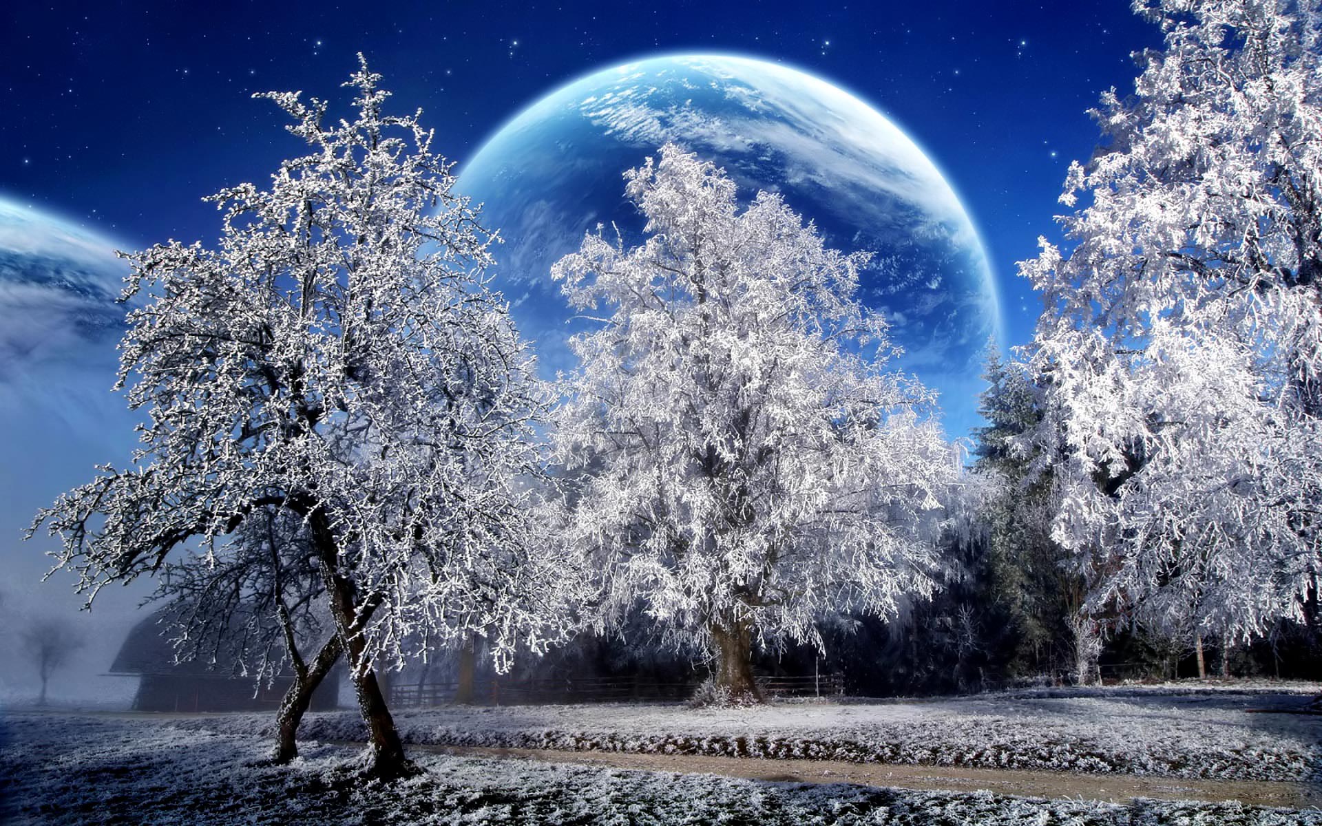 Winter Wonderland: A Fantasy in Frost