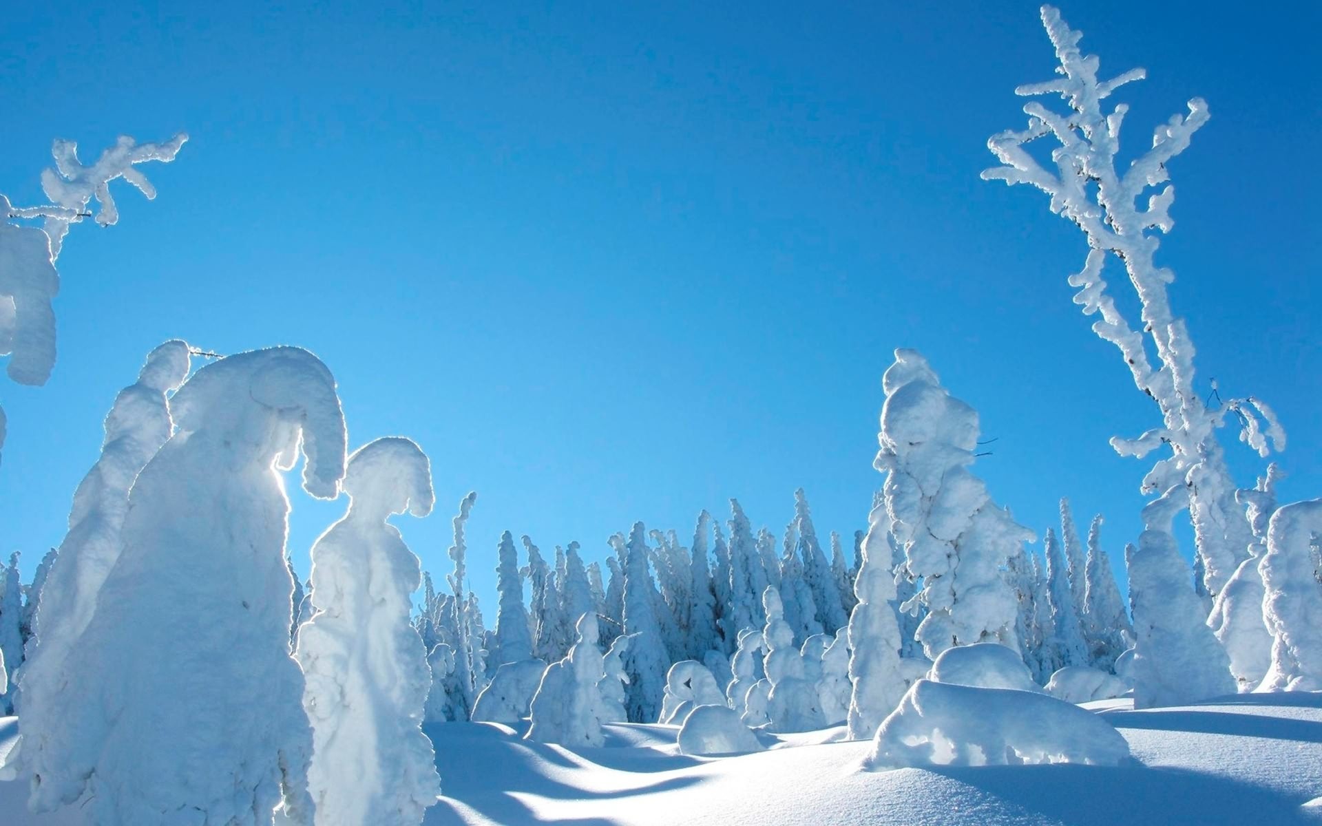 Download Nature Winter Image