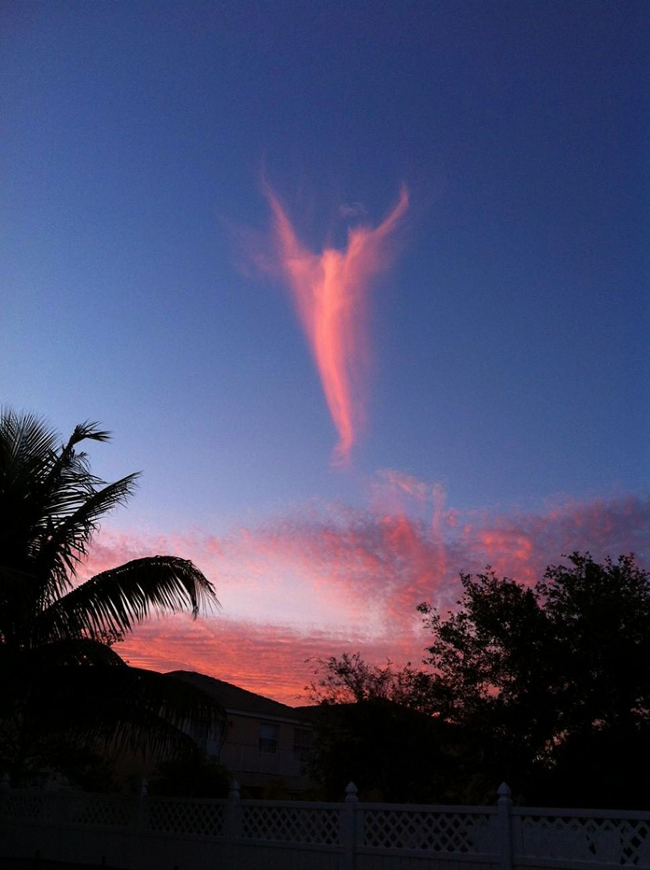 Unusual cloud looking like angels - Image Abyss