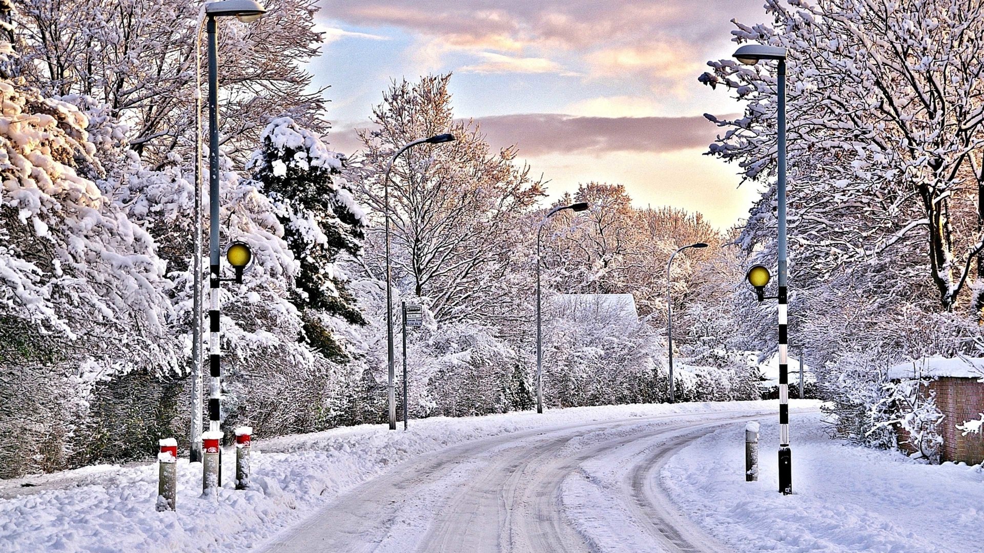 Download Tree Snow Road Photography Winter Image