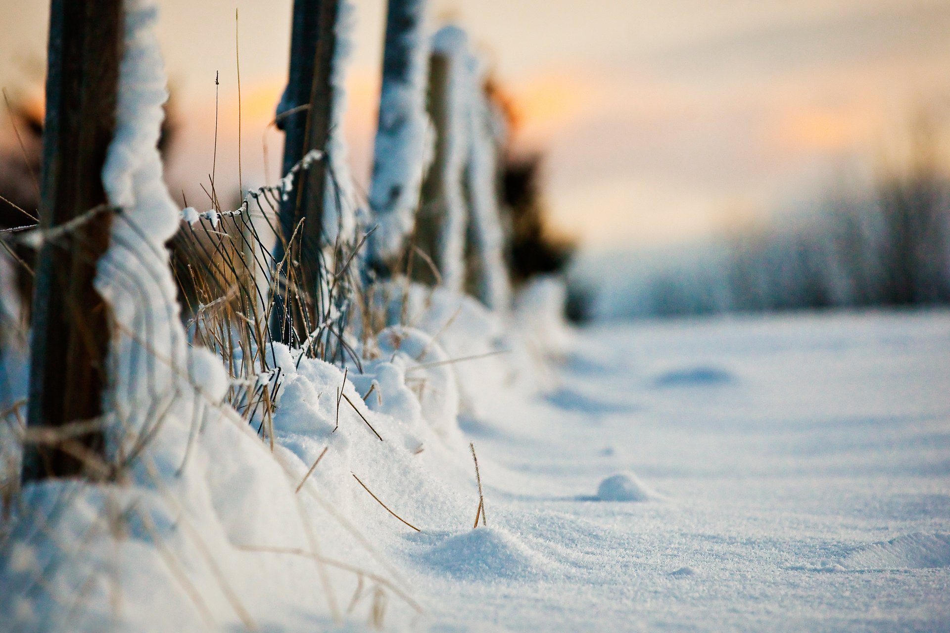 Download Photography Winter Image