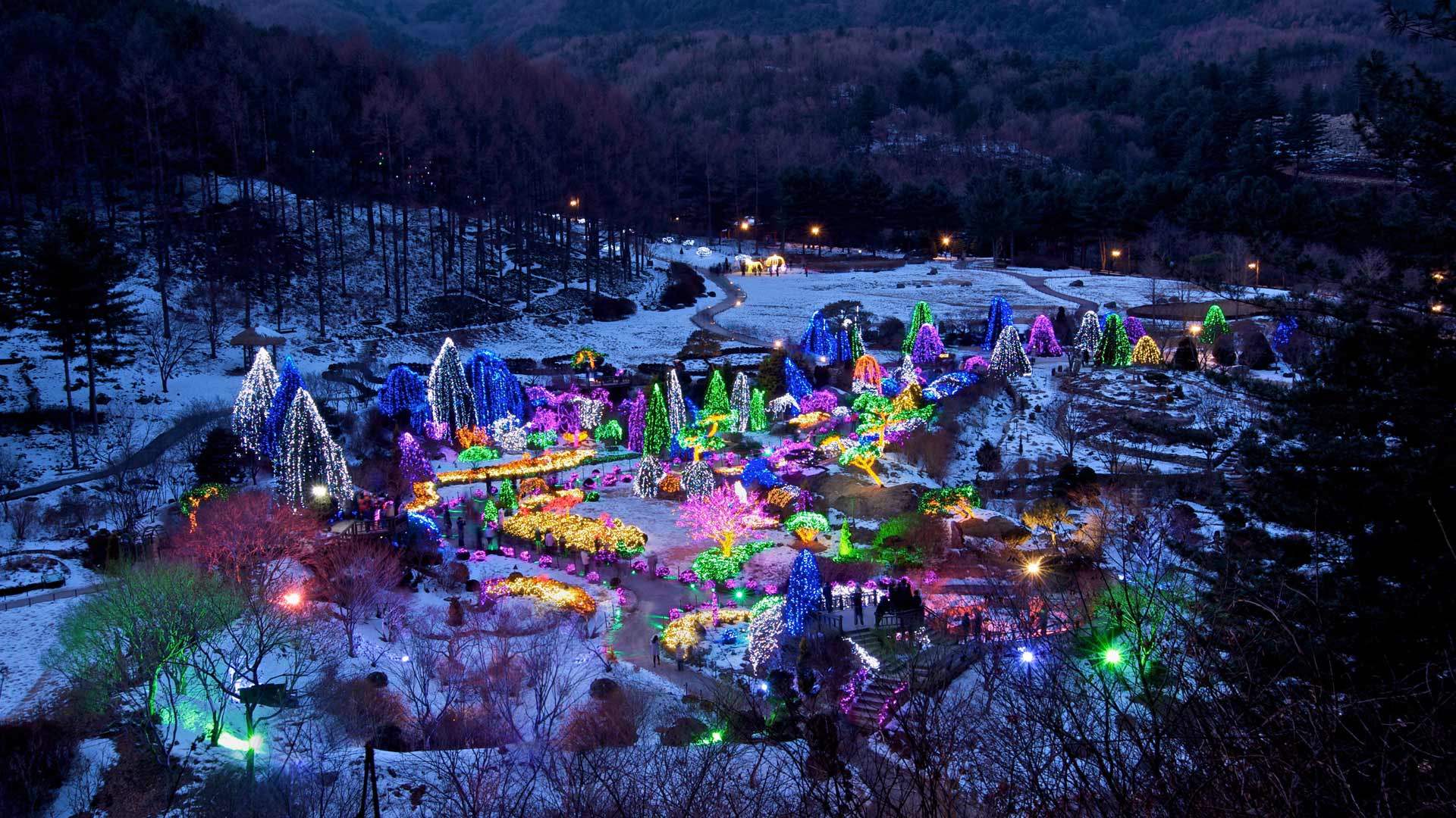 Magical Winter Wonderland: A Sparkling Christmas Light Celebration