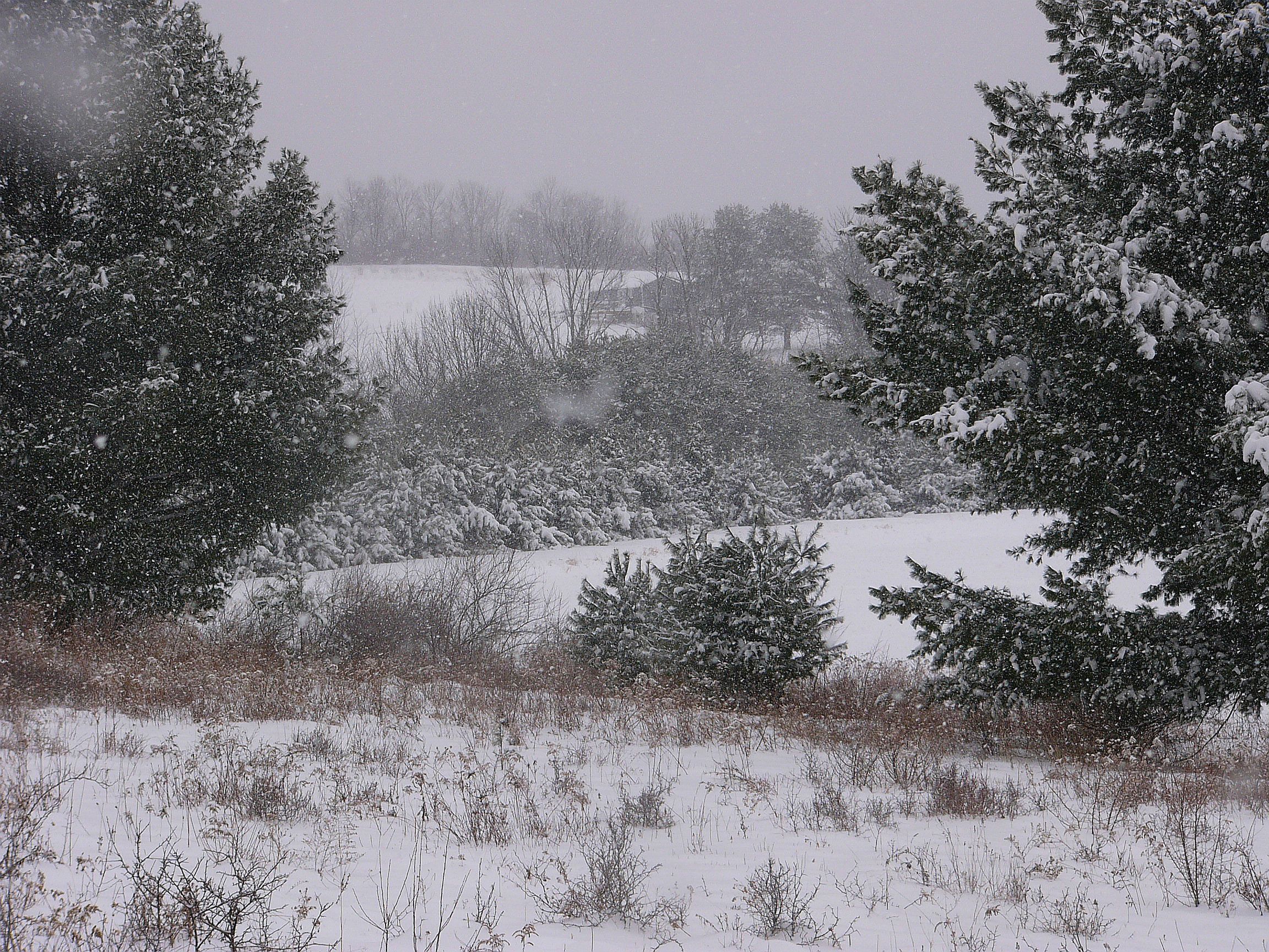 It is snowing again. A look across the lake. - February 1014 by durkeema