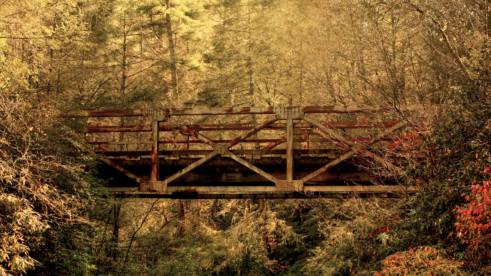 Download Man Made Bridge Image