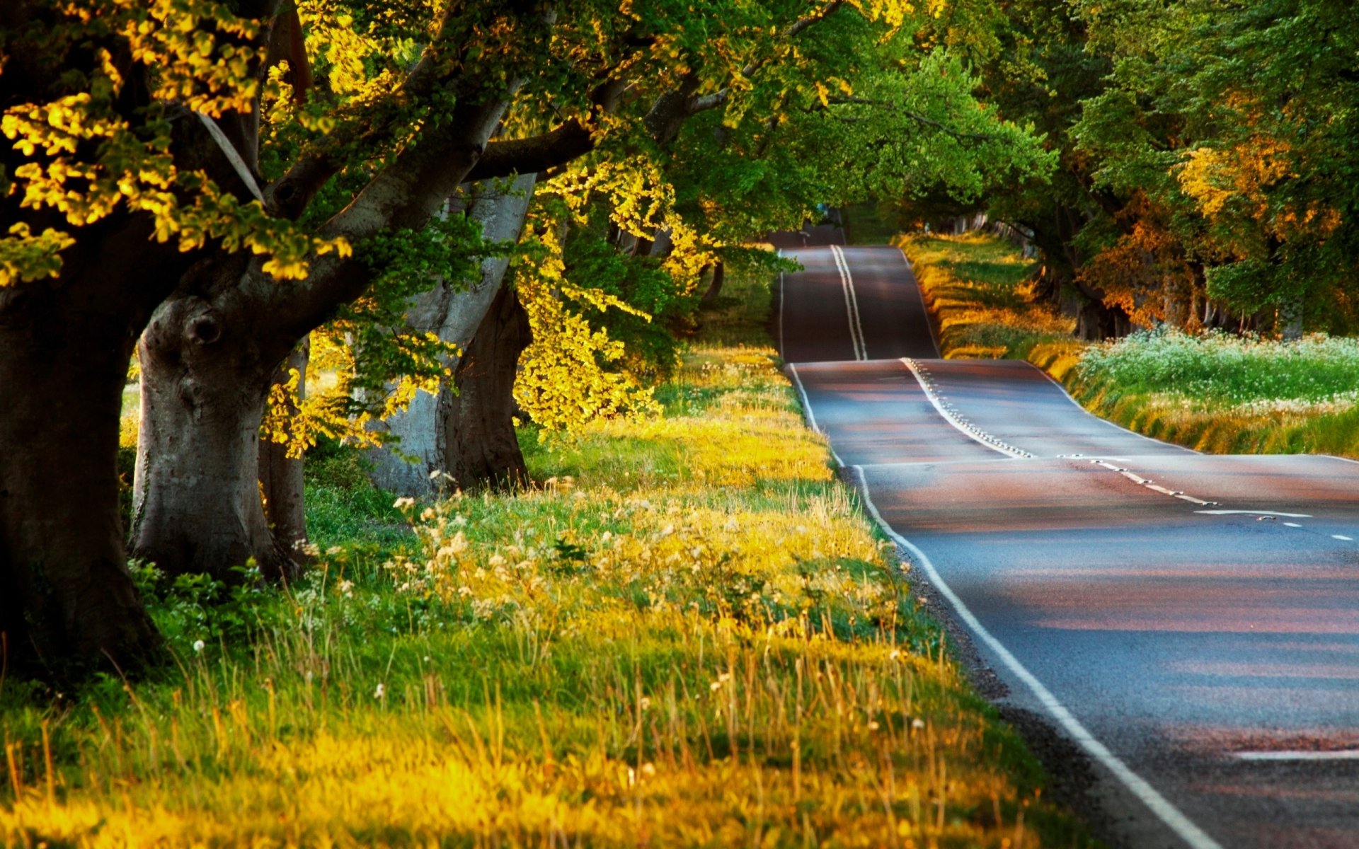 Download Man Made Road Image