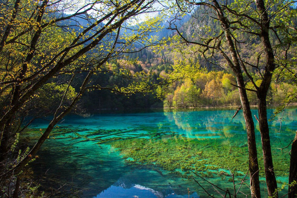 Jiuzhai Valley National Park, China Image - ID: 292402 - Image Abyss