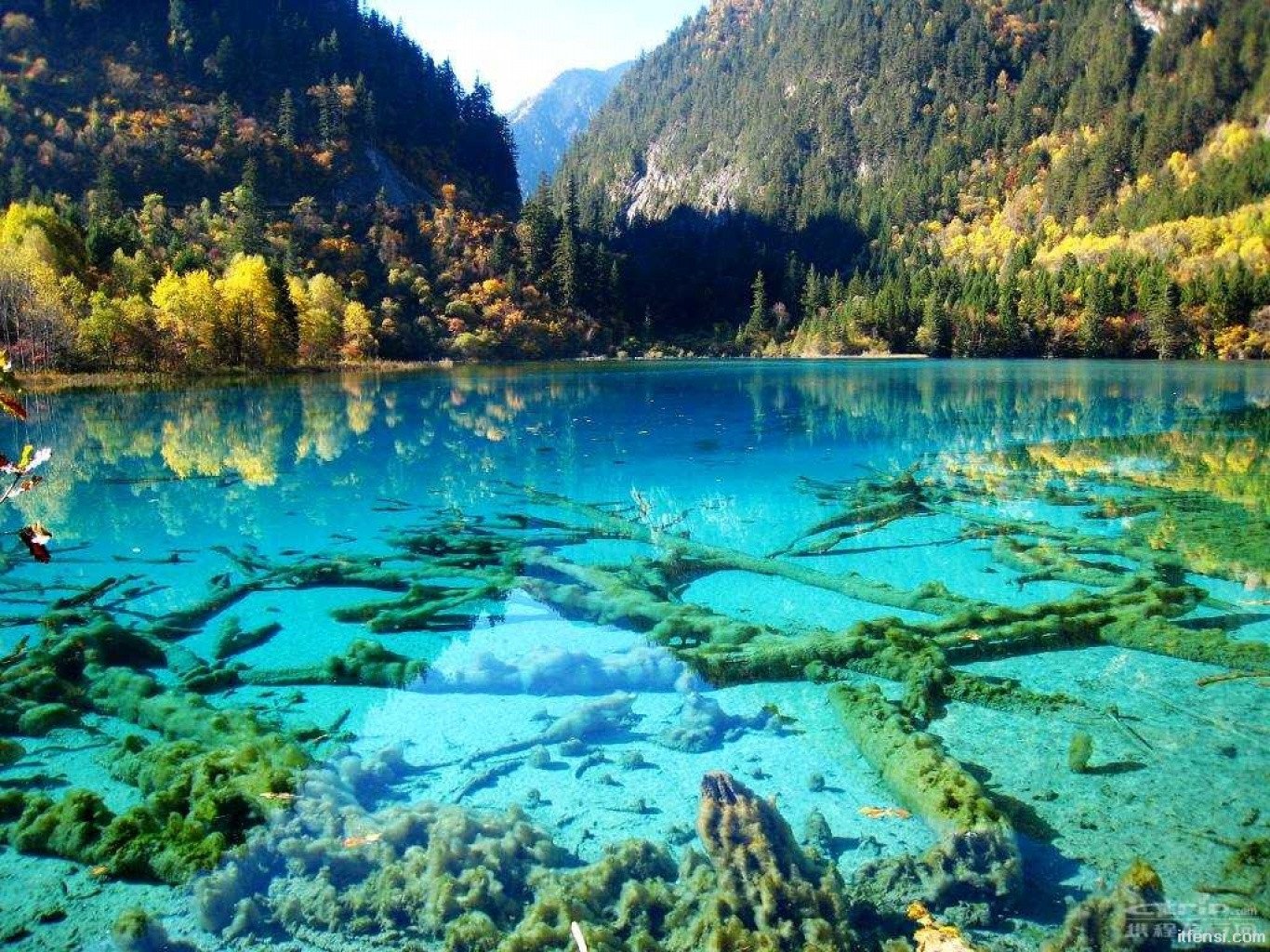 Jiuzhai Valley National Park, China Image - ID: 292405 - Image Abyss