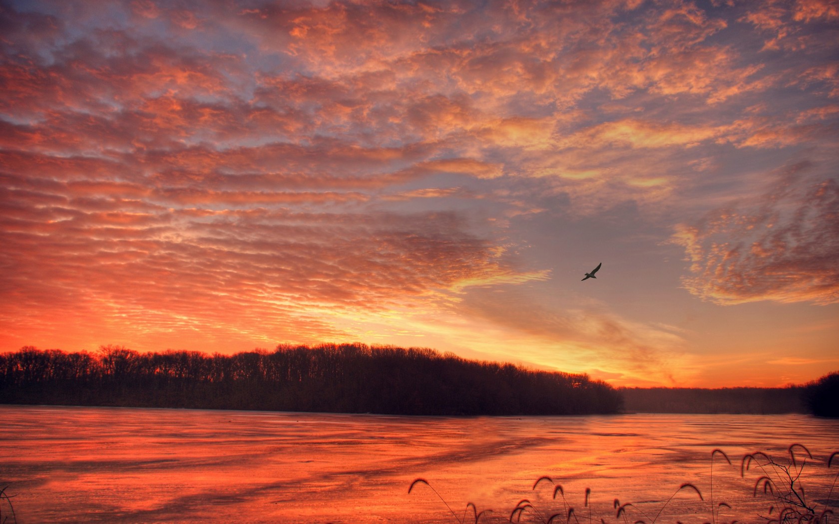 Download Nature Sunset Image