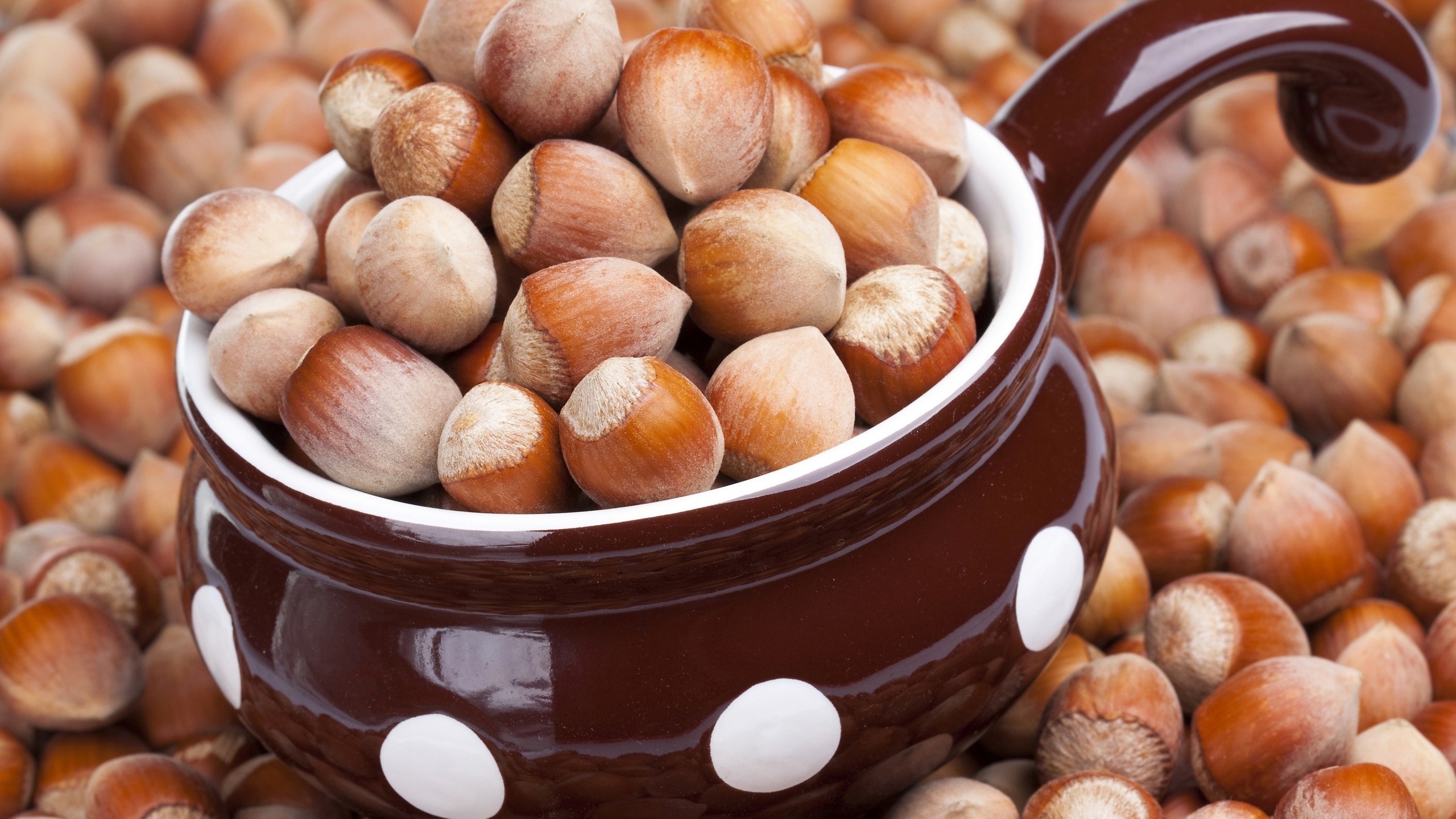 Download Food Hazelnut Image