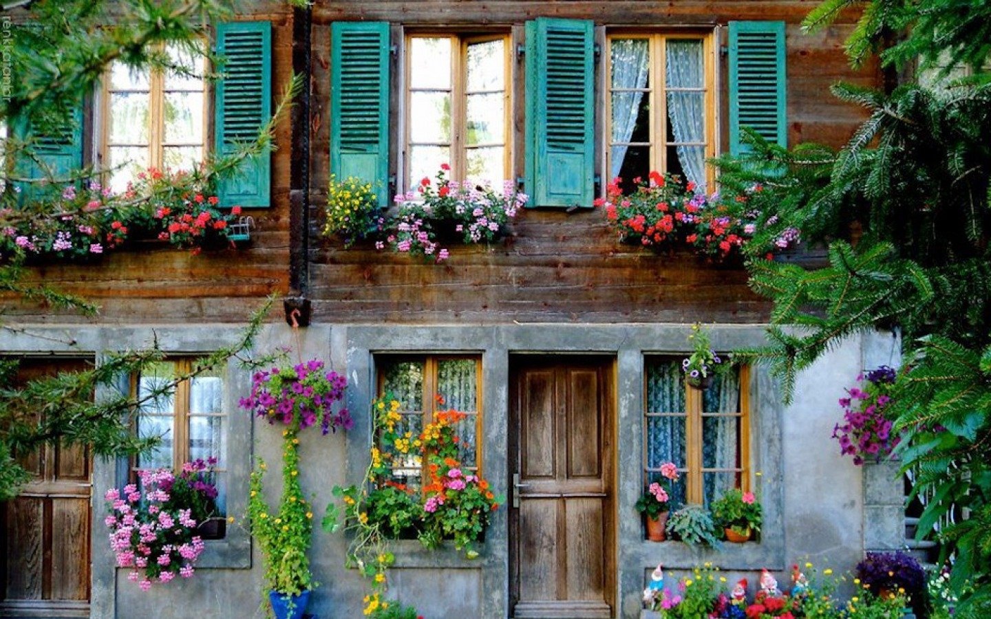 Blossoms Embracing a Charming Handcrafted Home
