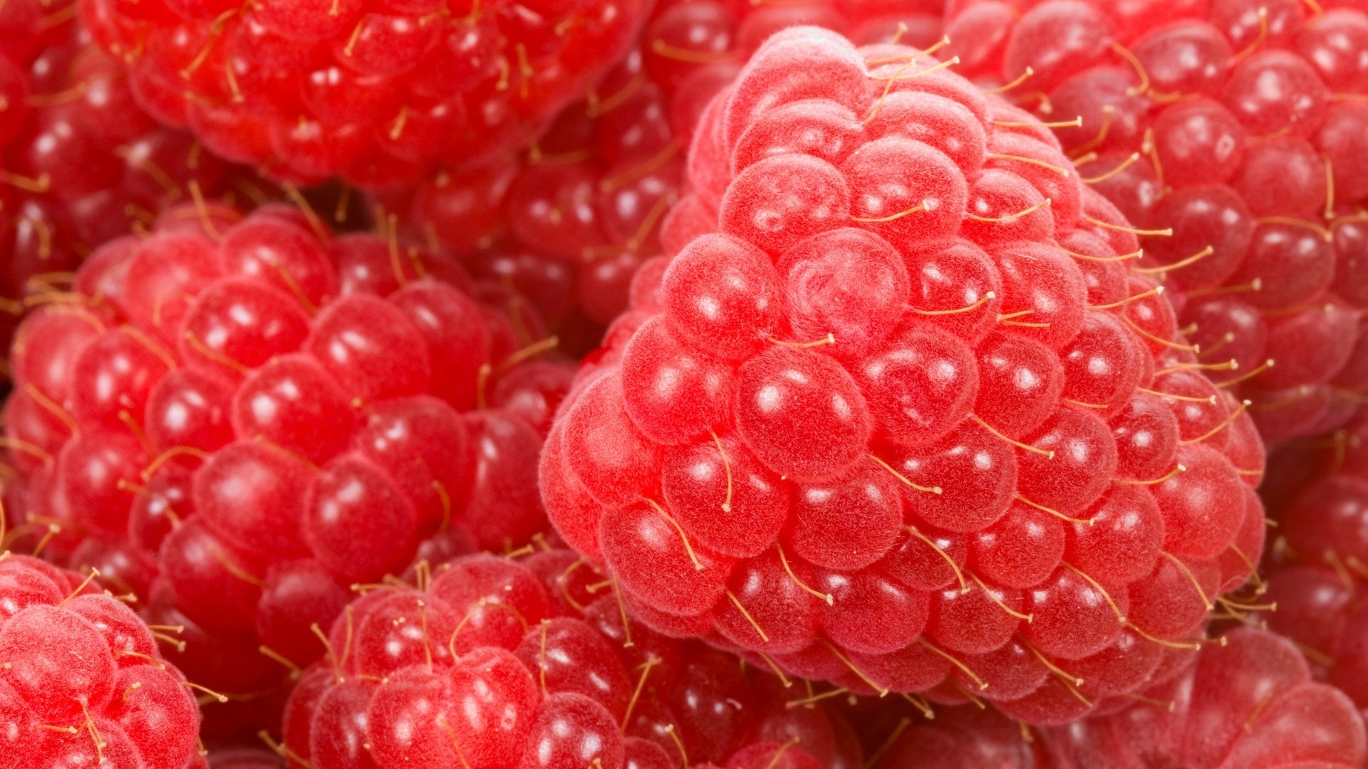 Download Food Raspberry Image