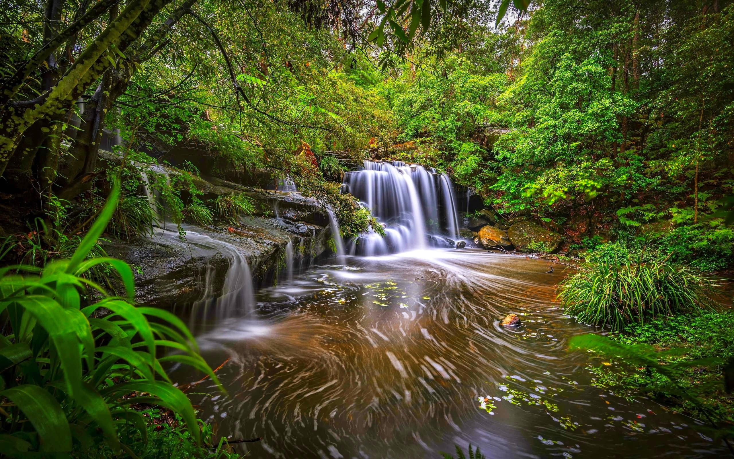 Green Forest Waterfall - Image Abyss