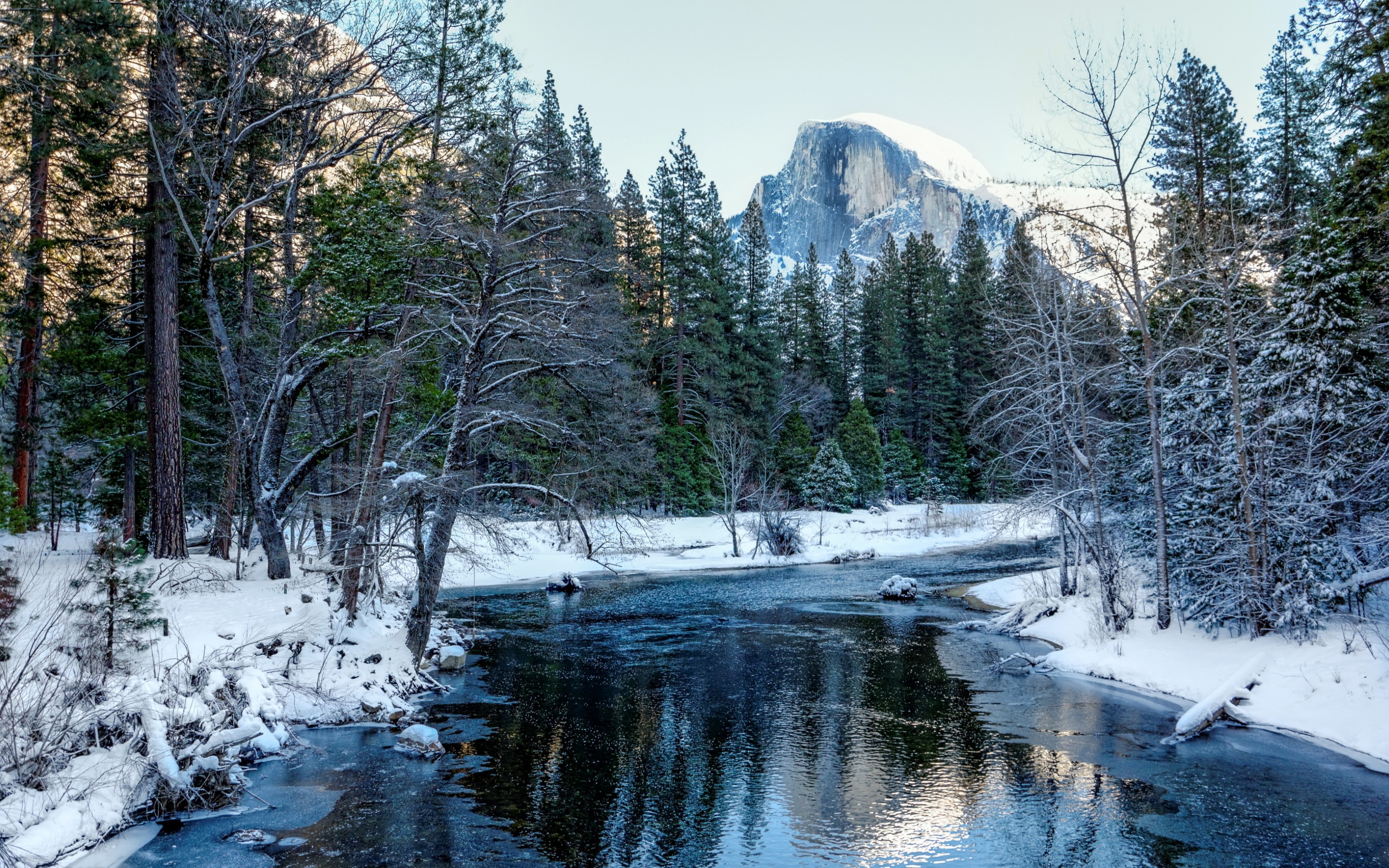 Download Snow Tree River Nature Winter Image
