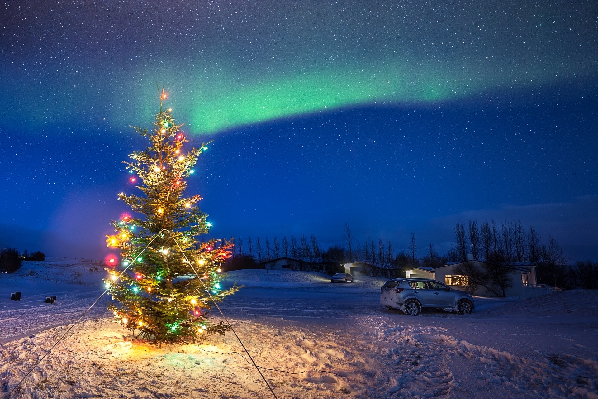 Glowing Christmas Tree Under a Magical Winter Night Sky