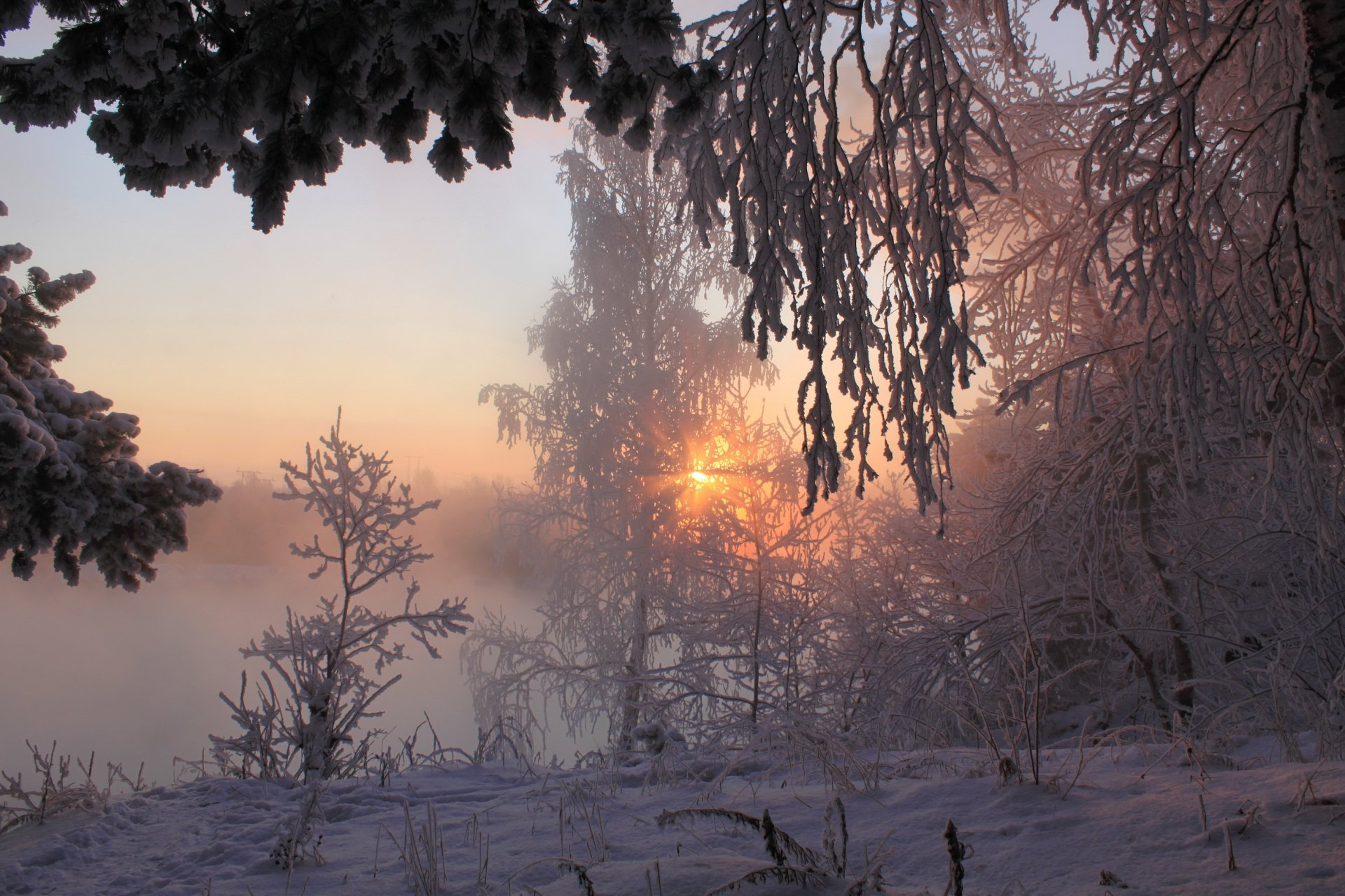 Download Snow Tree Sunset Nature Winter Image