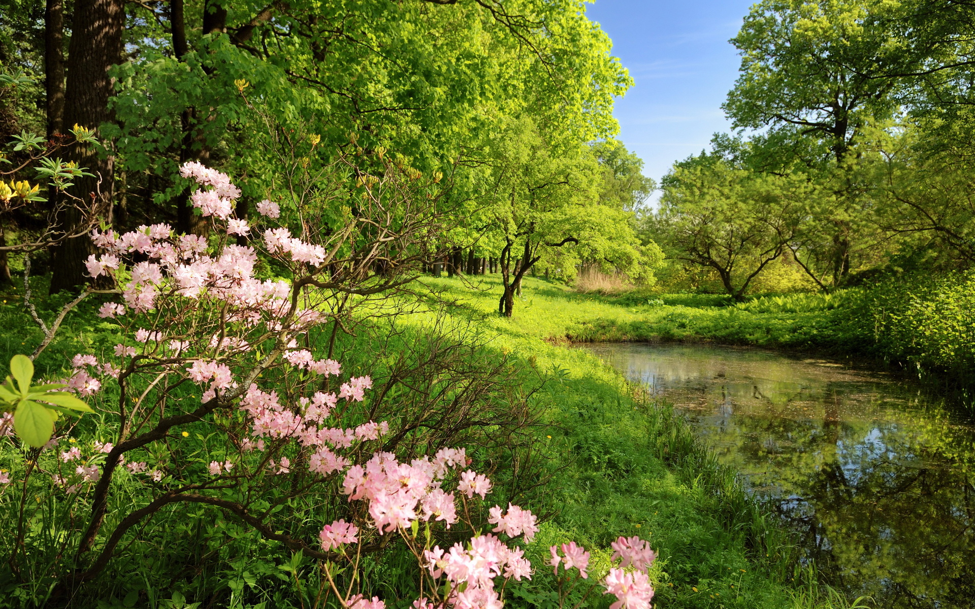 Download Nature Spring Image