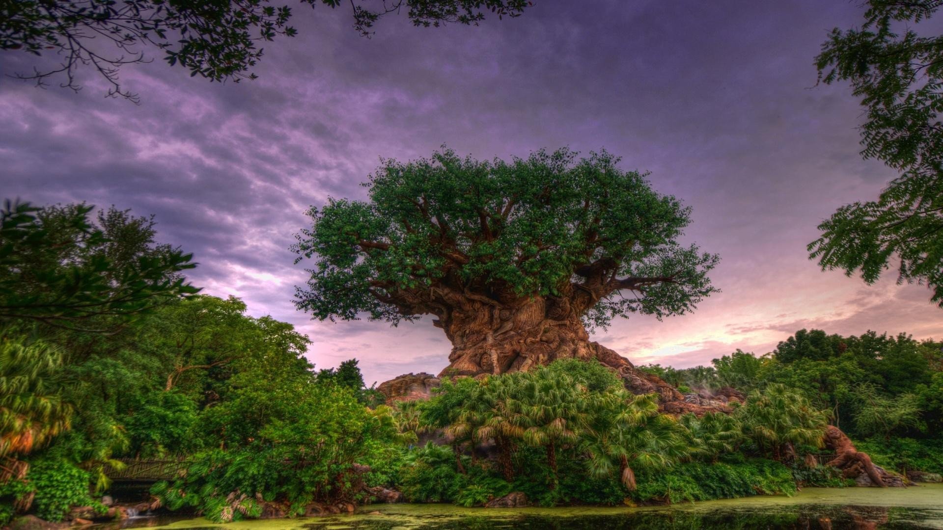Majestic Green Tule Tree: A Nature's Wonder